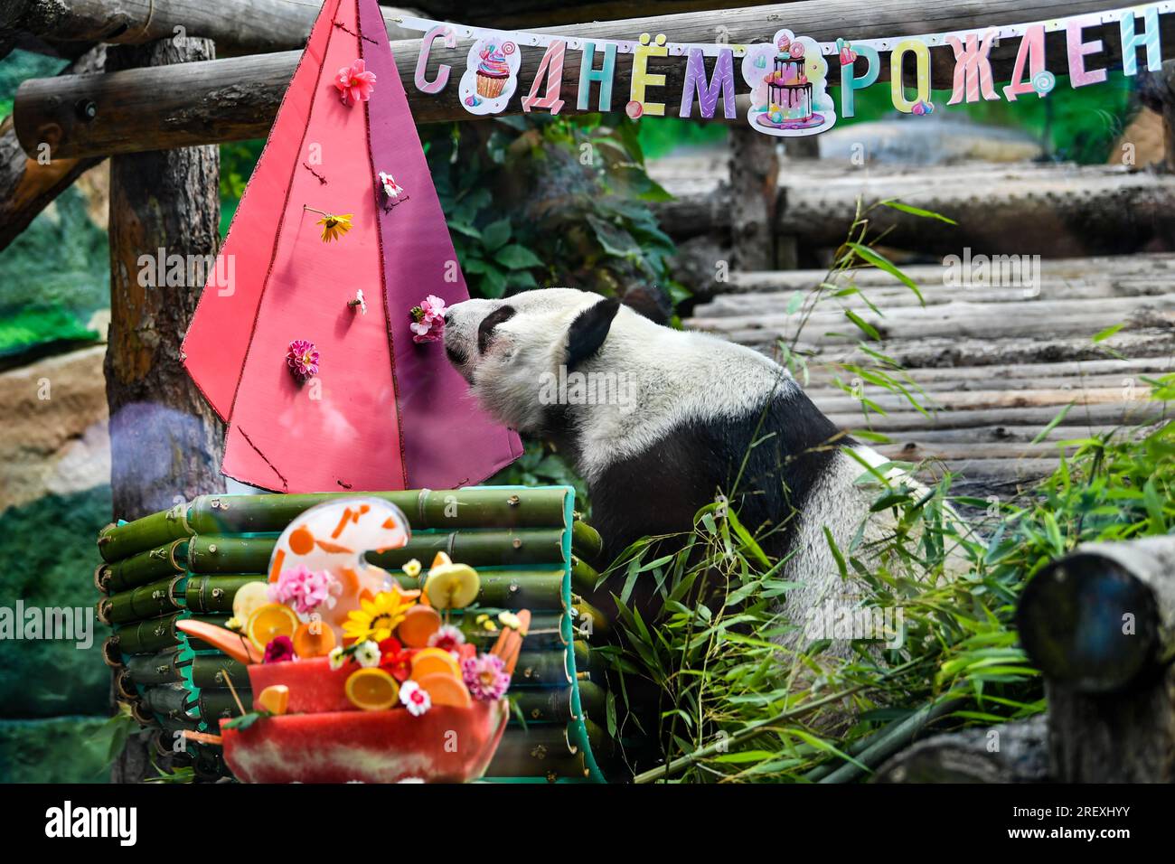 Moscow, Russia. 30th July, 2023. Giant panda Dingding is seen during ...
