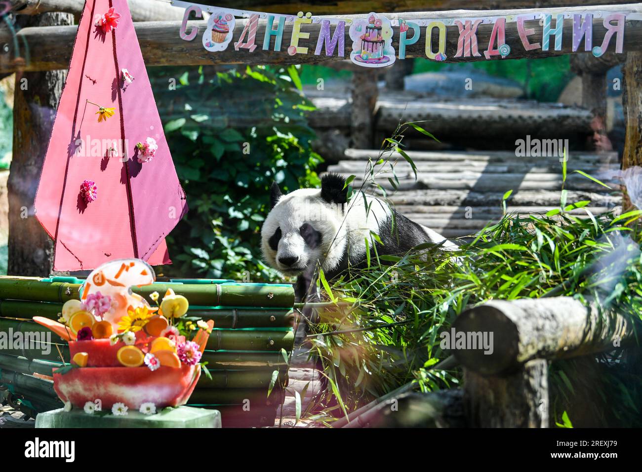 Moscow, Russia. 30th July, 2023. Giant panda Dingding is seen during ...