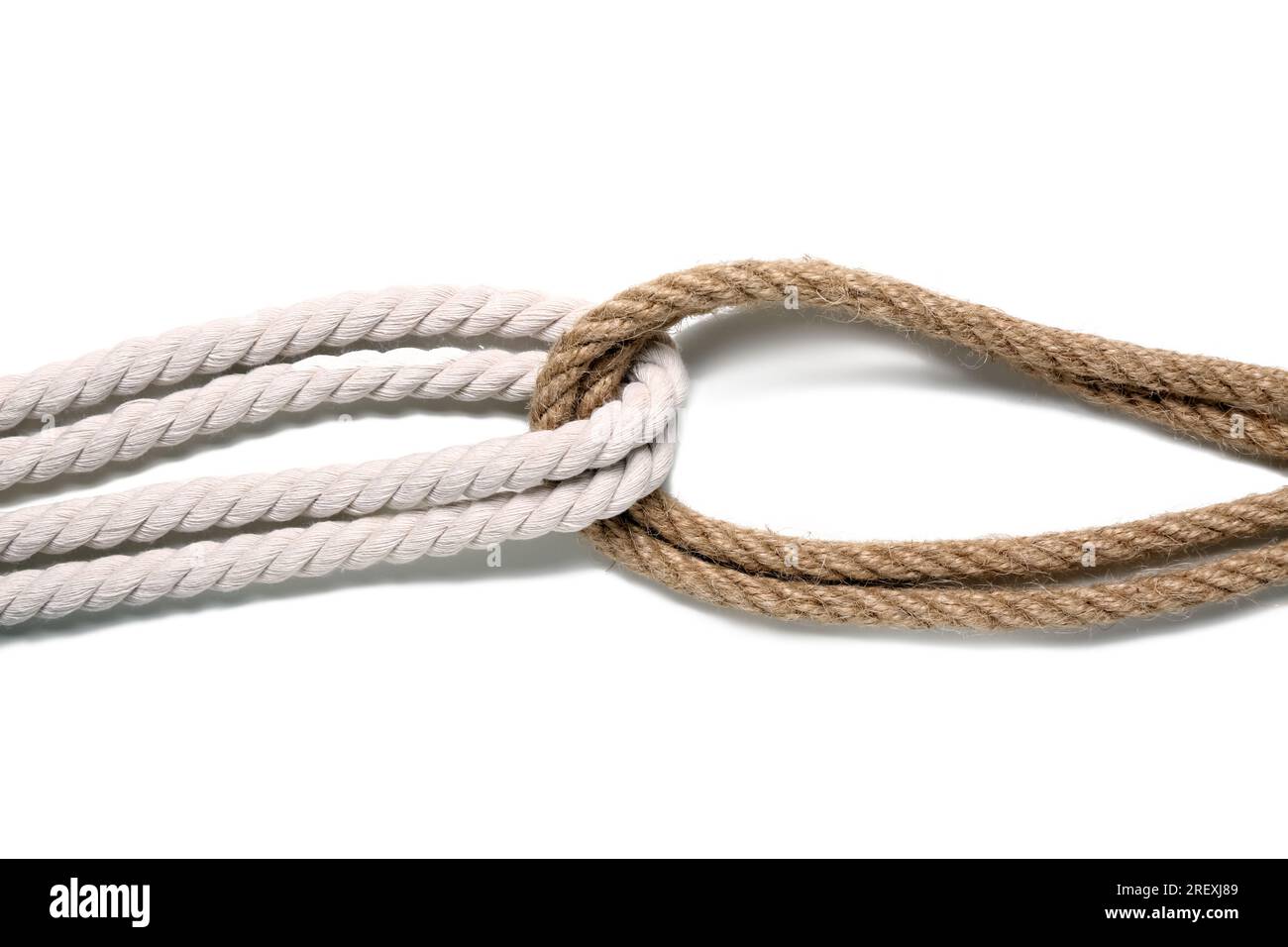 Bundled ropes on white background Stock Photo - Alamy