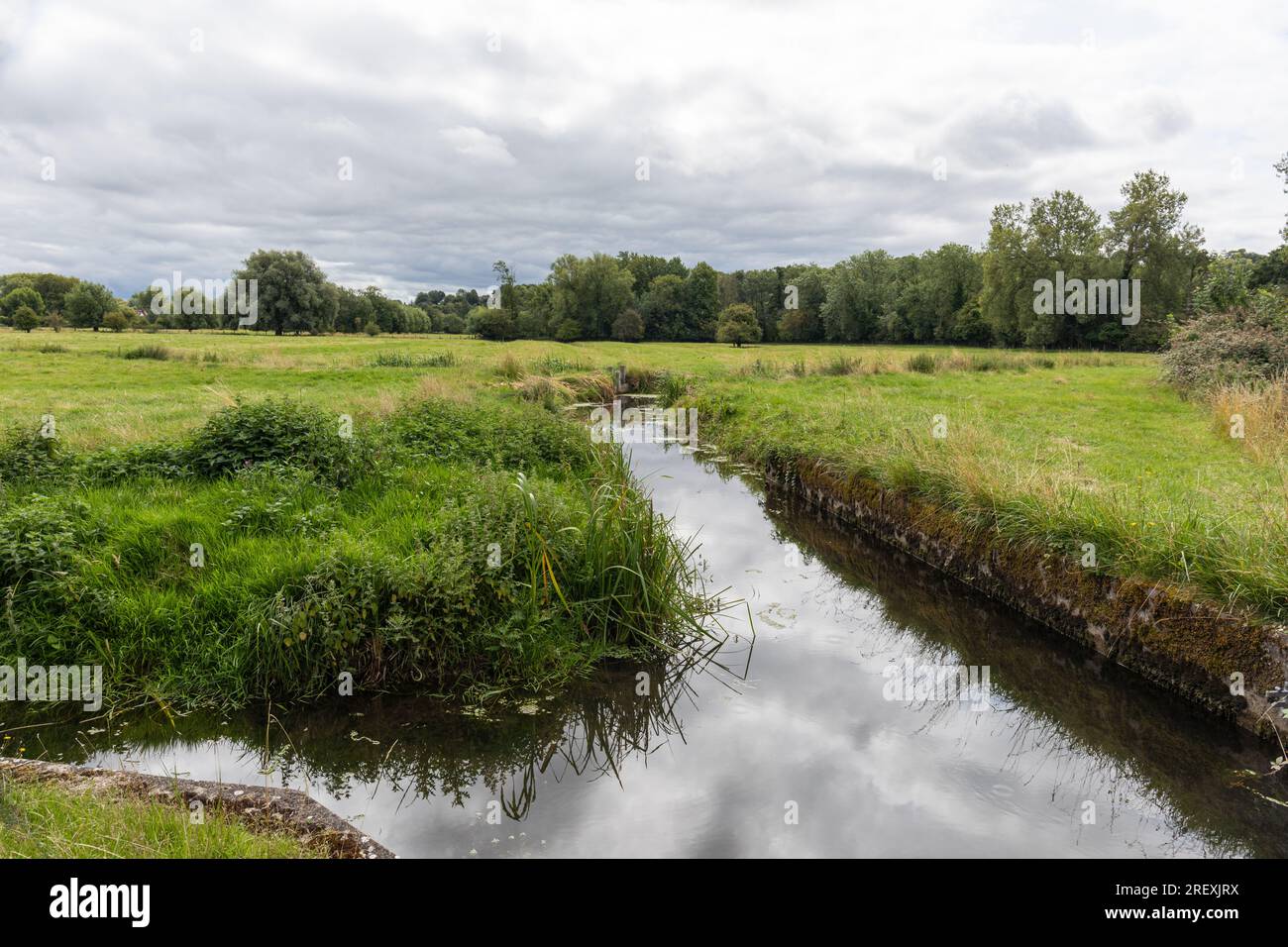 Harnham Water Meadows a Site of Special Scientific Interest, Salisbury ...