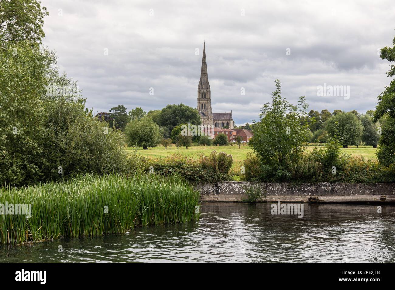 Salisbury Cathedral as seen from Harnham Water Meadows, Salisbury ...