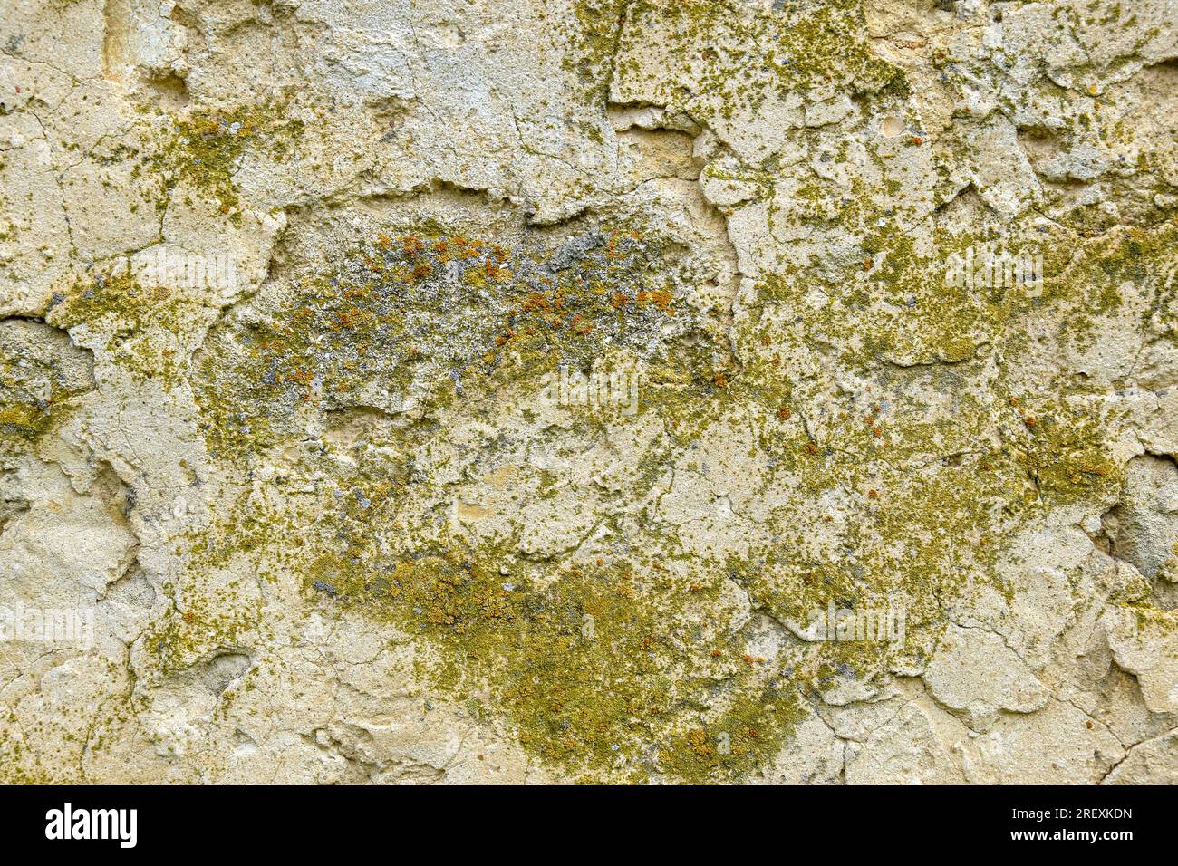 Aged wall of old building with multicolored moss, textured background ...