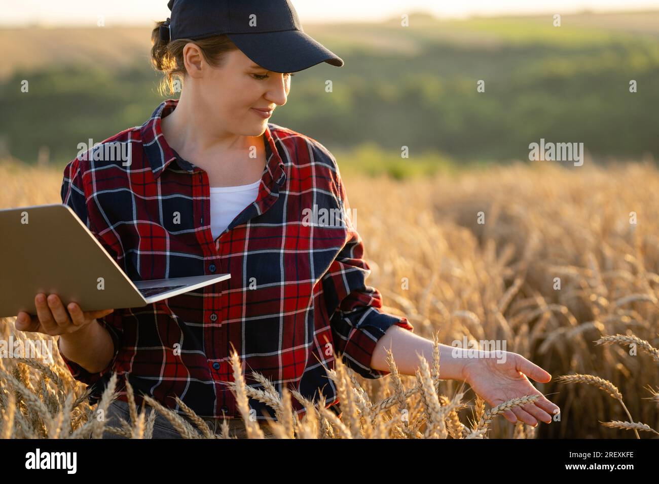 Woman farmer working with laptop on wheat field. Smart farming and ...