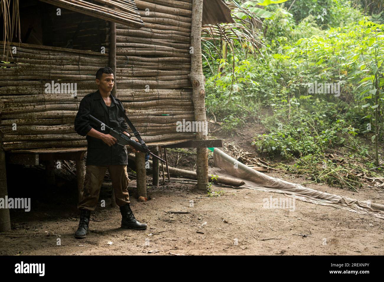 Sound of freedom film hi-res stock photography and images - Alamy