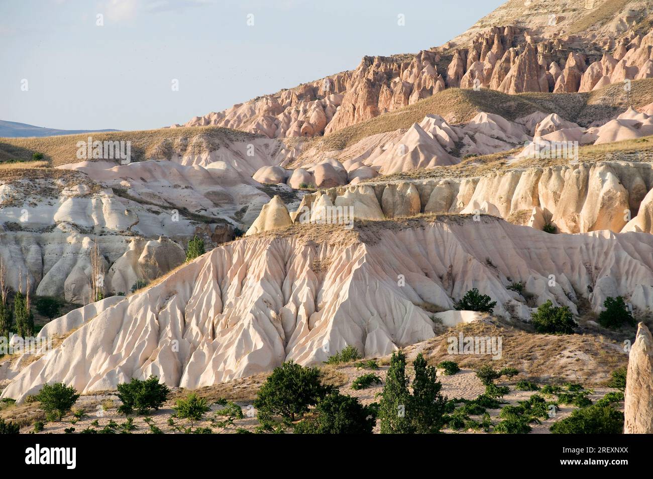 Badlands are a dry terrains formed with softer sedimentary rocks ...