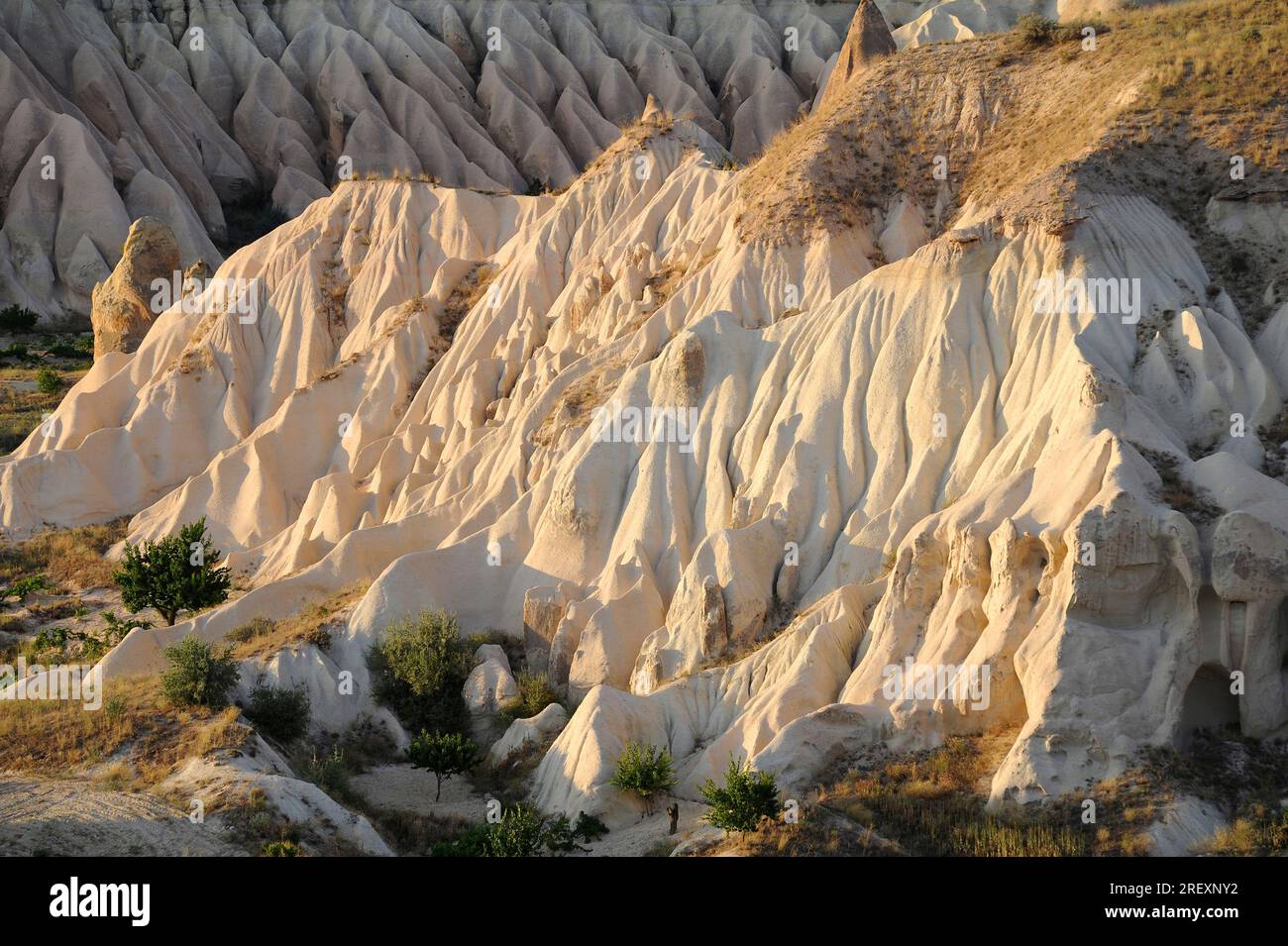 Badlands are a dry terrains formed with softer sedimentary rocks ...