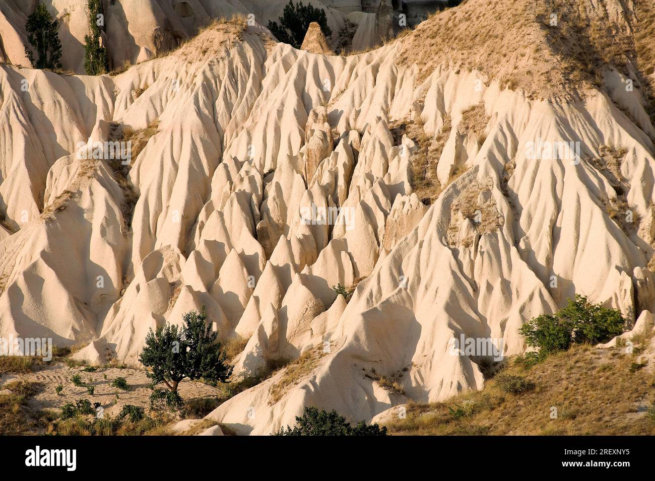 Badlands are a dry terrains formed with softer sedimentary rocks ...