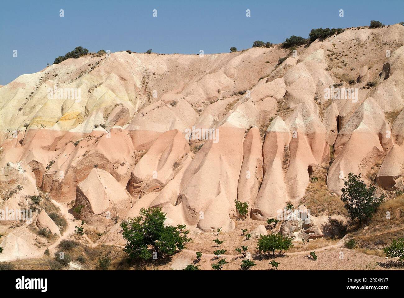 Badlands are a dry terrains formed with softer sedimentary rocks ...