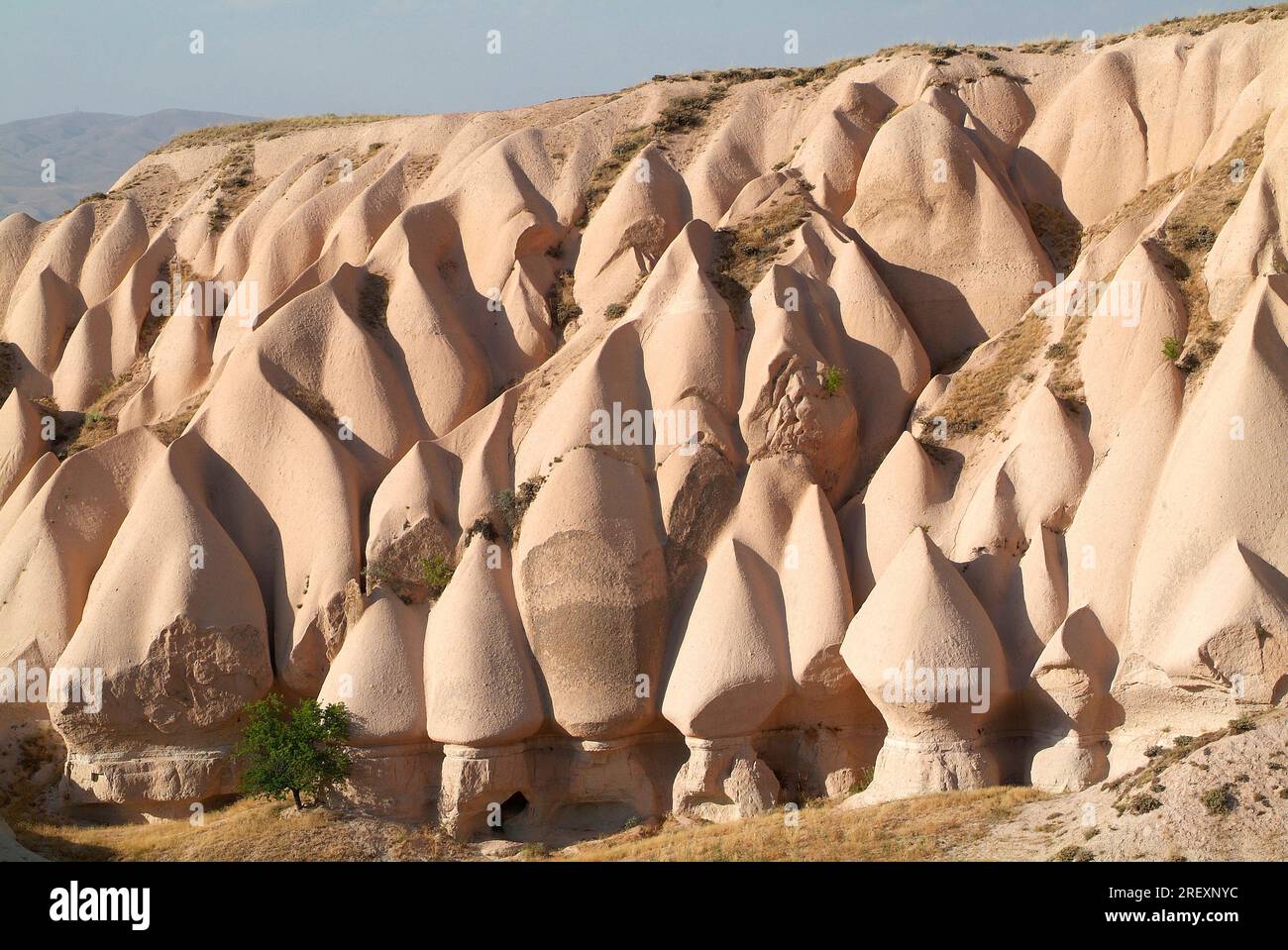Badlands are a dry terrains formed with softer sedimentary rocks ...