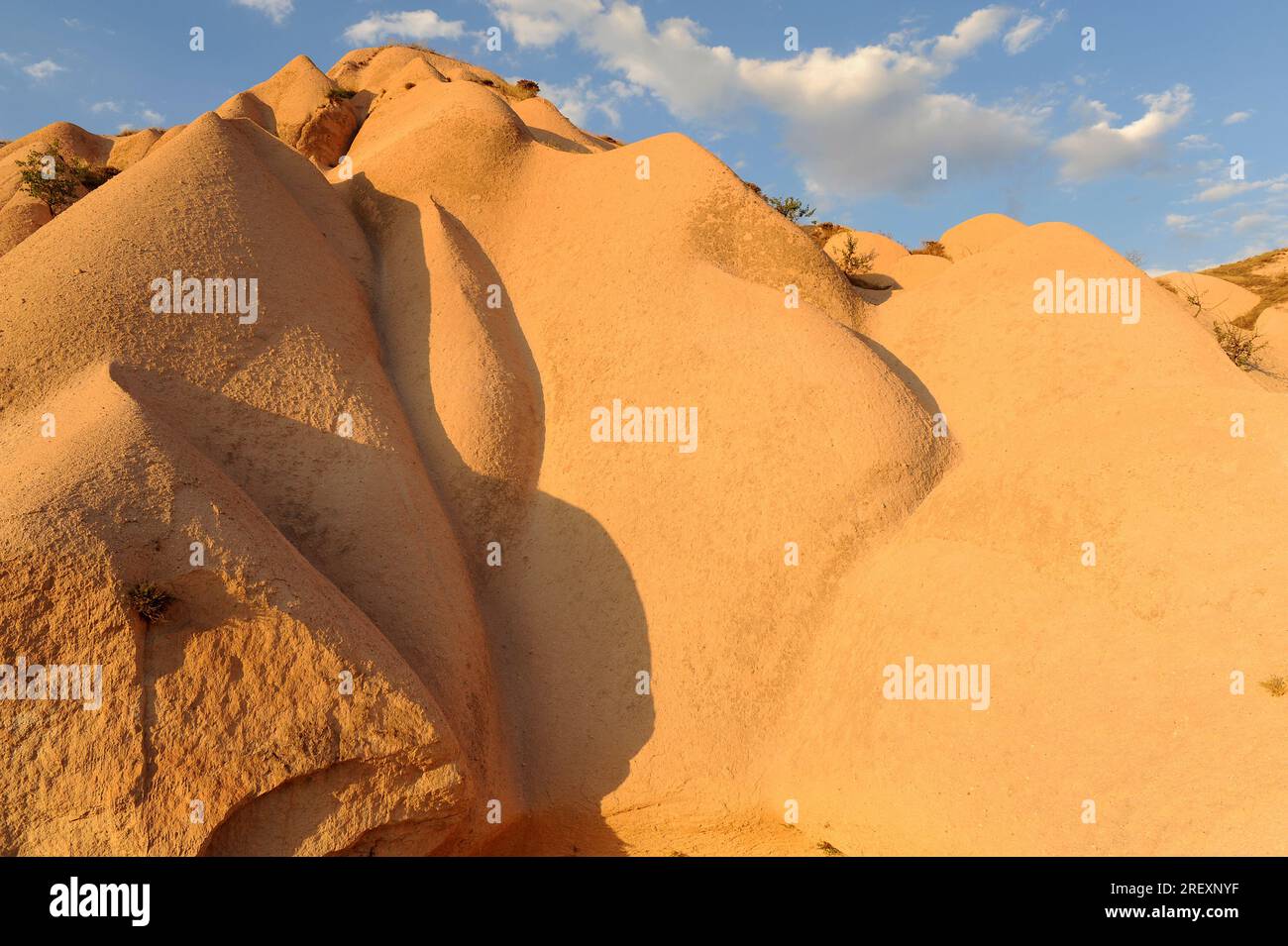 Badlands are a dry terrains formed with softer sedimentary rocks ...