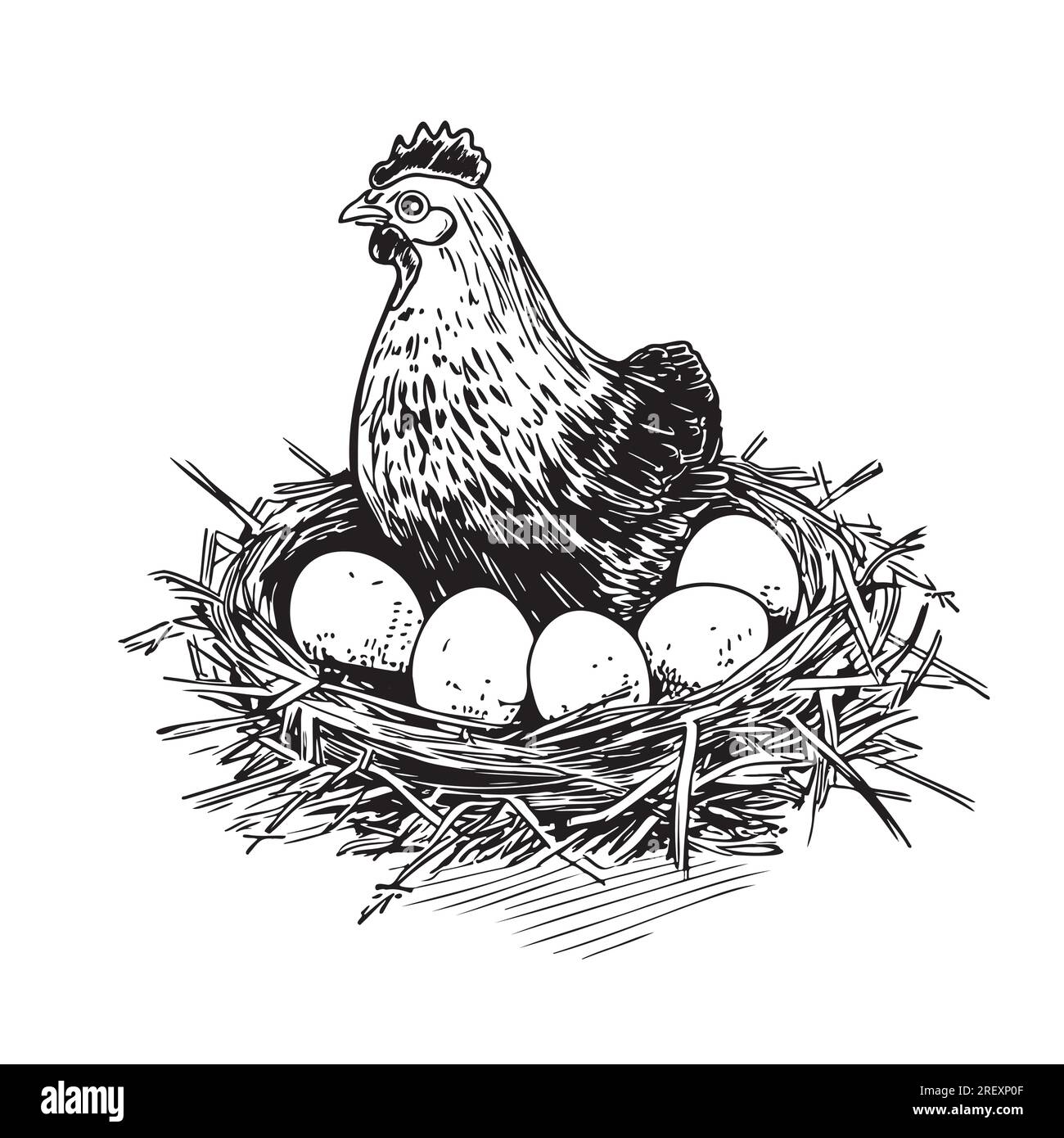 Hen Chicken in the nest funny hand drawn sketch Vector Stock Vector ...