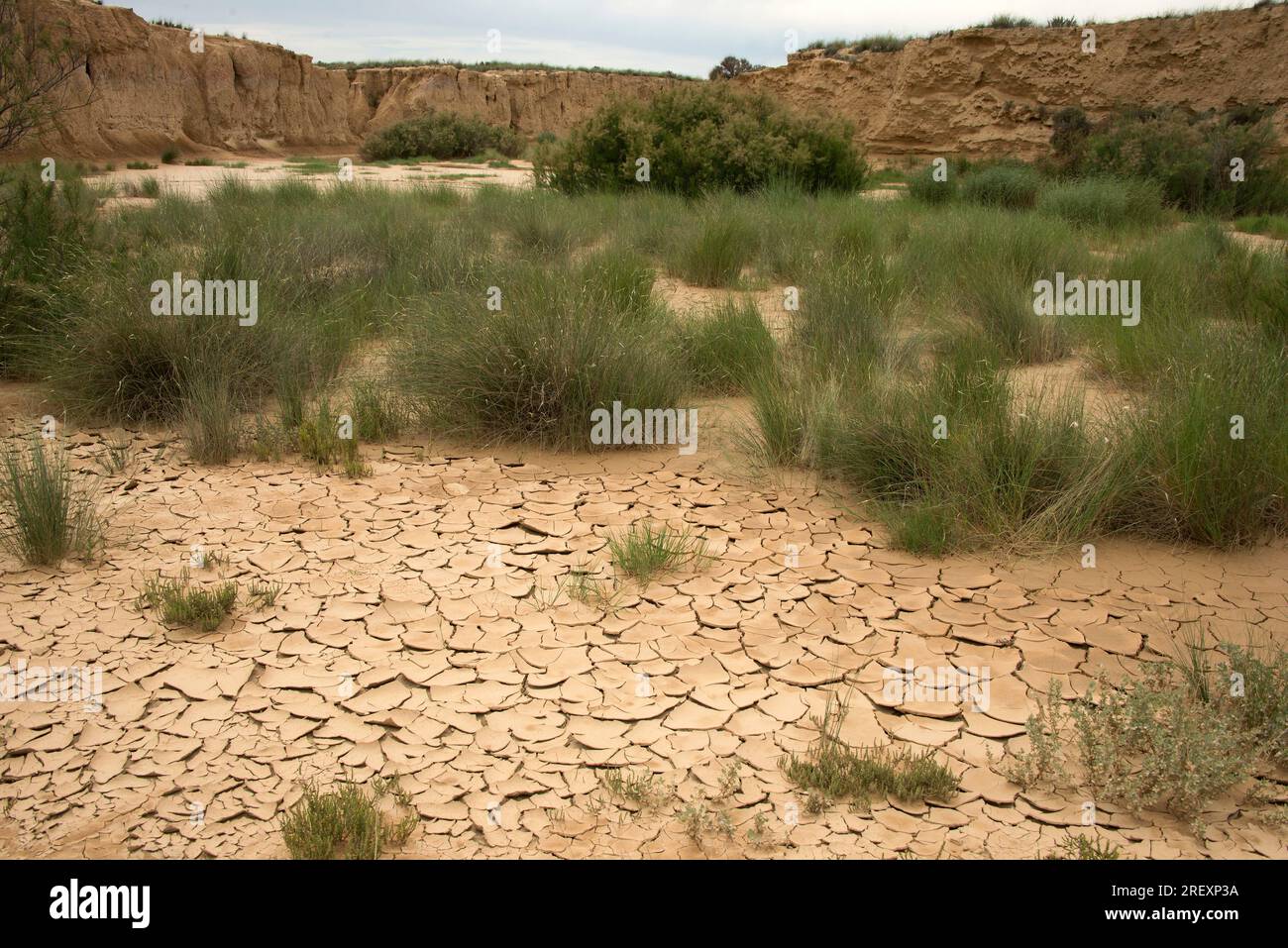 Arid climates hi-res stock photography and images - Alamy