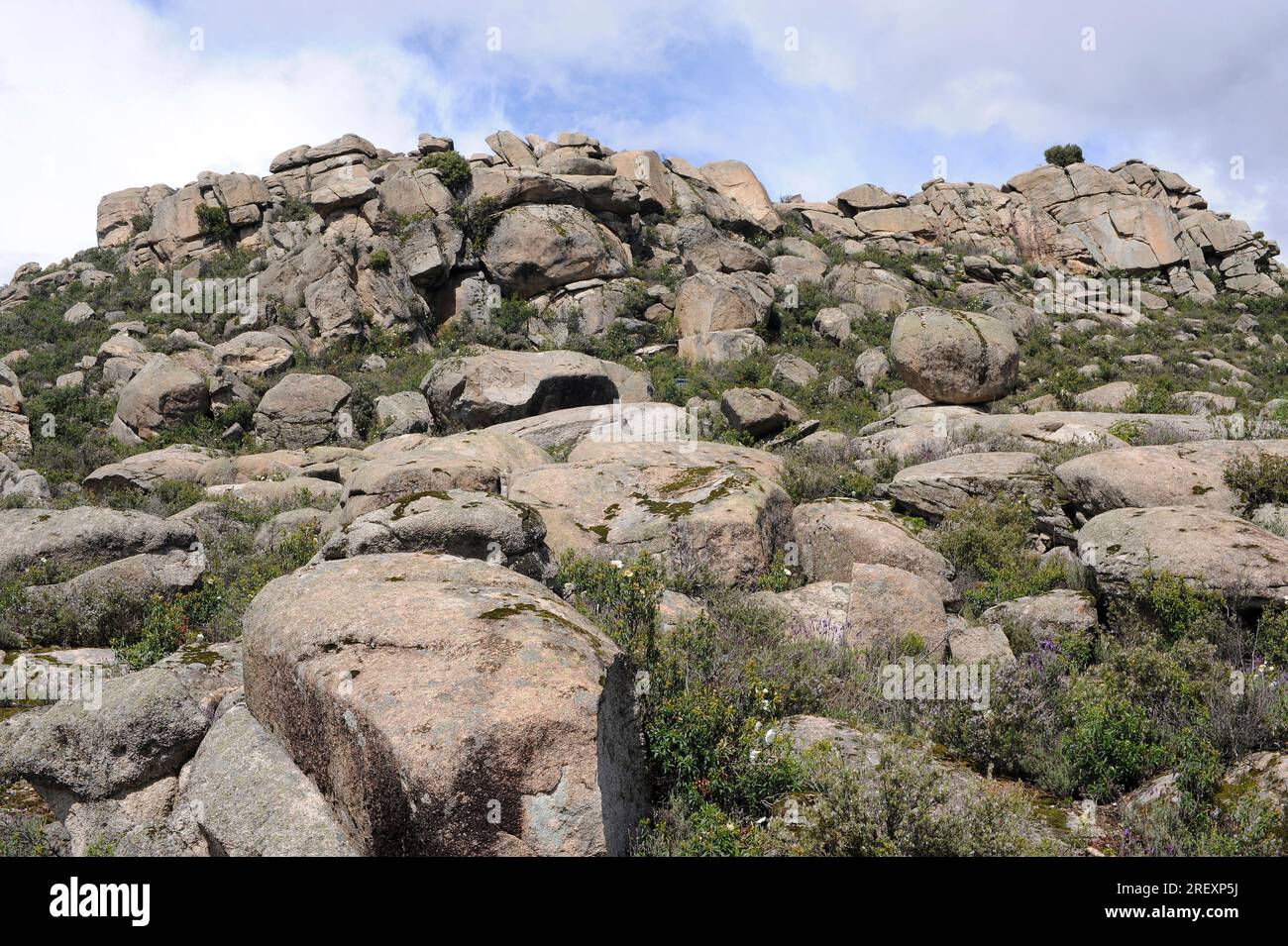 Berrocal or granite relief is a landscape formed by granite, an ...