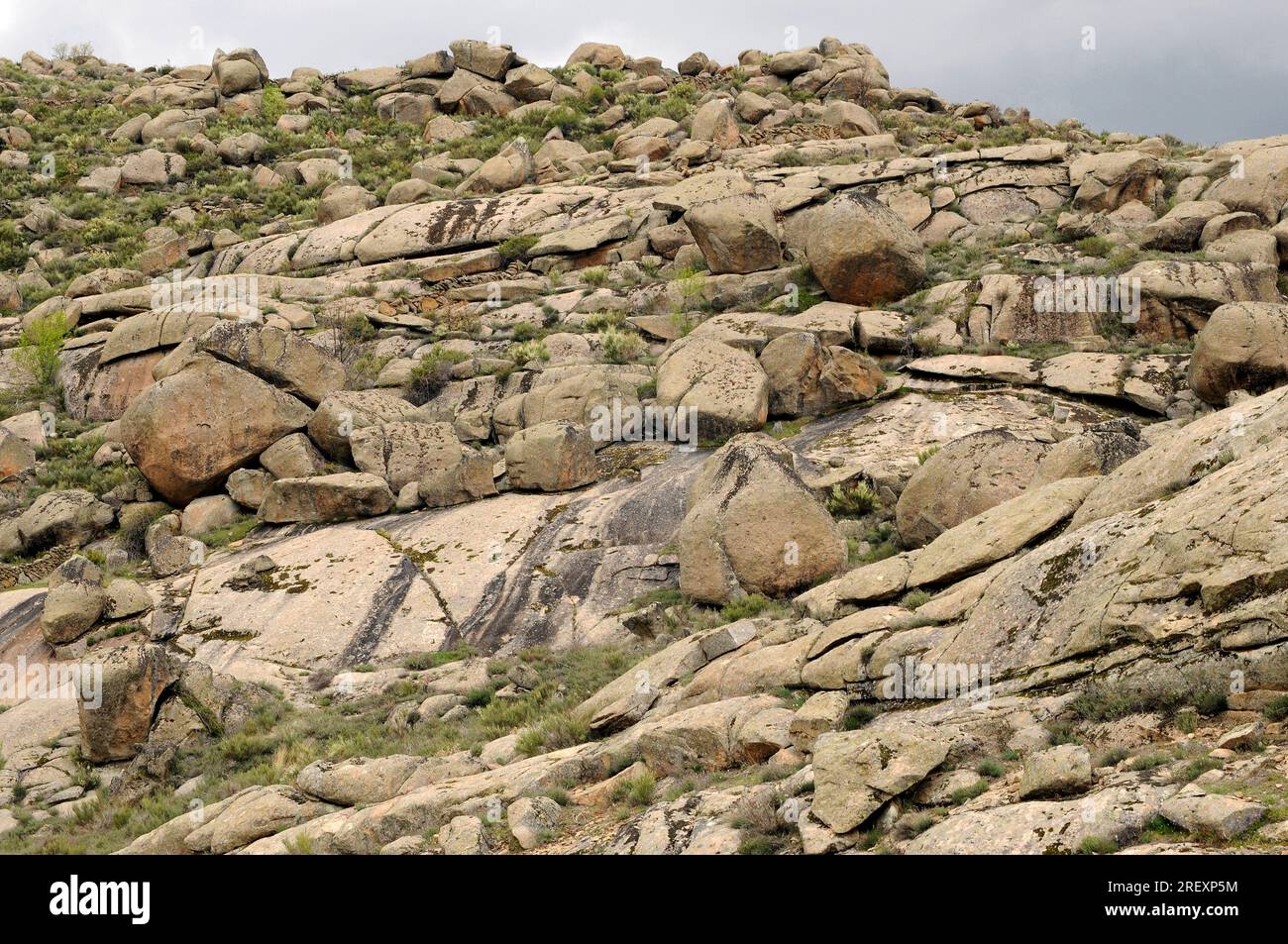 Berrocal or granite relief is a landscape formed by granite, an ...