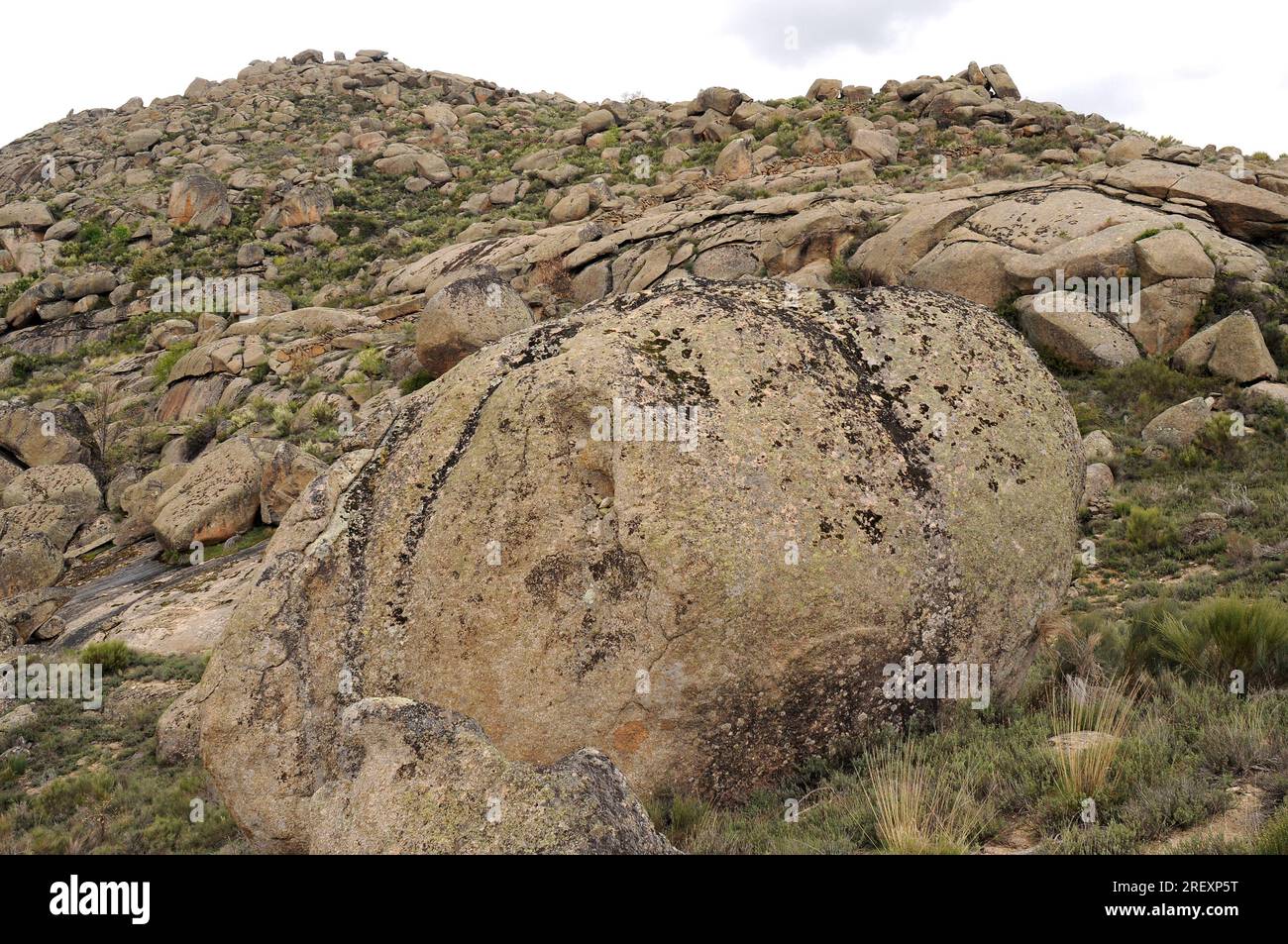 Berrocal or granite relief is a landscape formed by granite, an ...