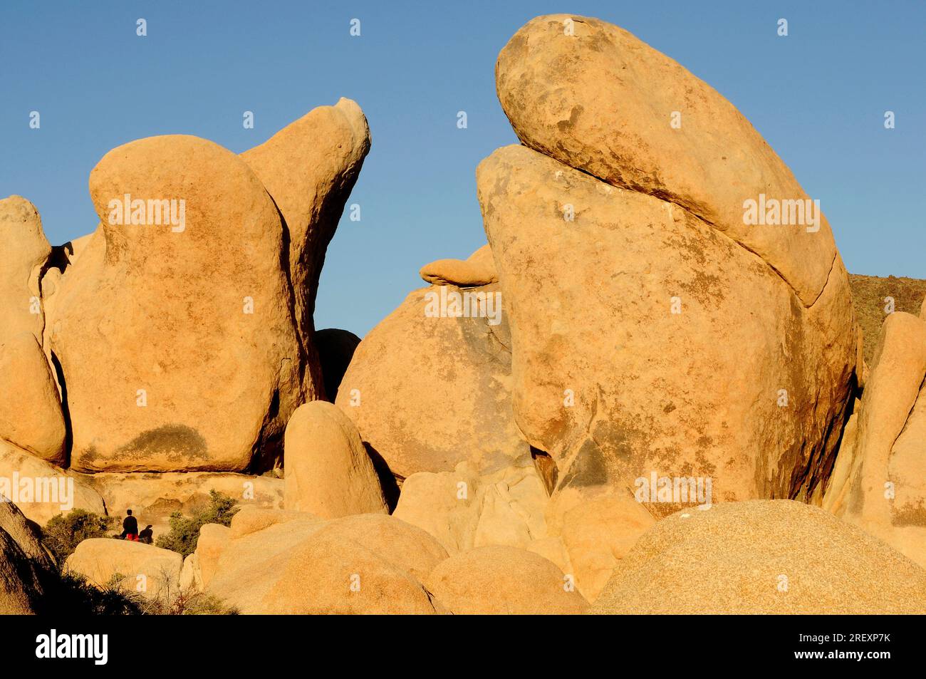 Berrocal or granite relief is a landscape formed by granite, an ...