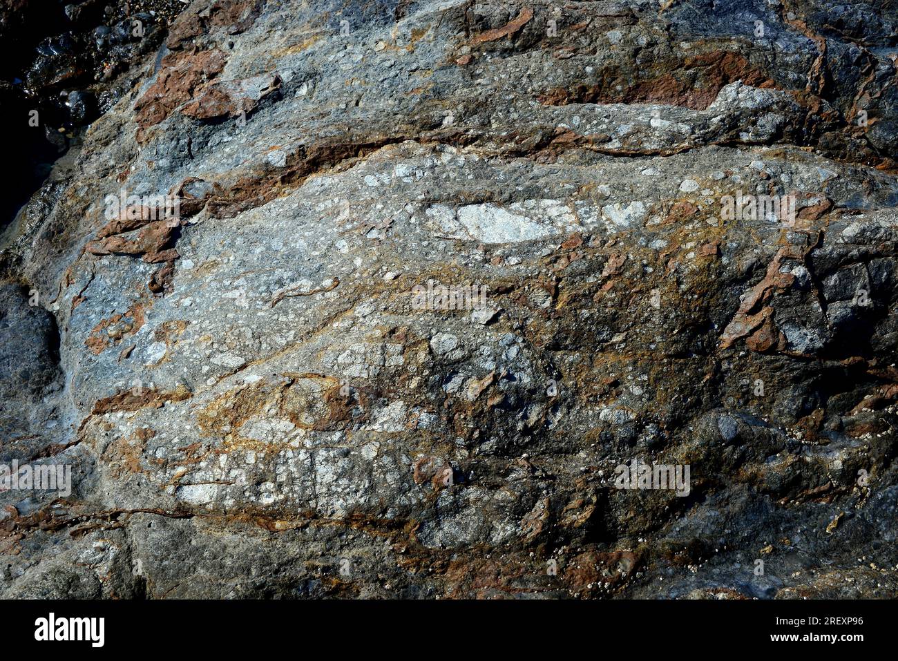 Fault breccia is a breccia formed for the grinding action of two blocks ...