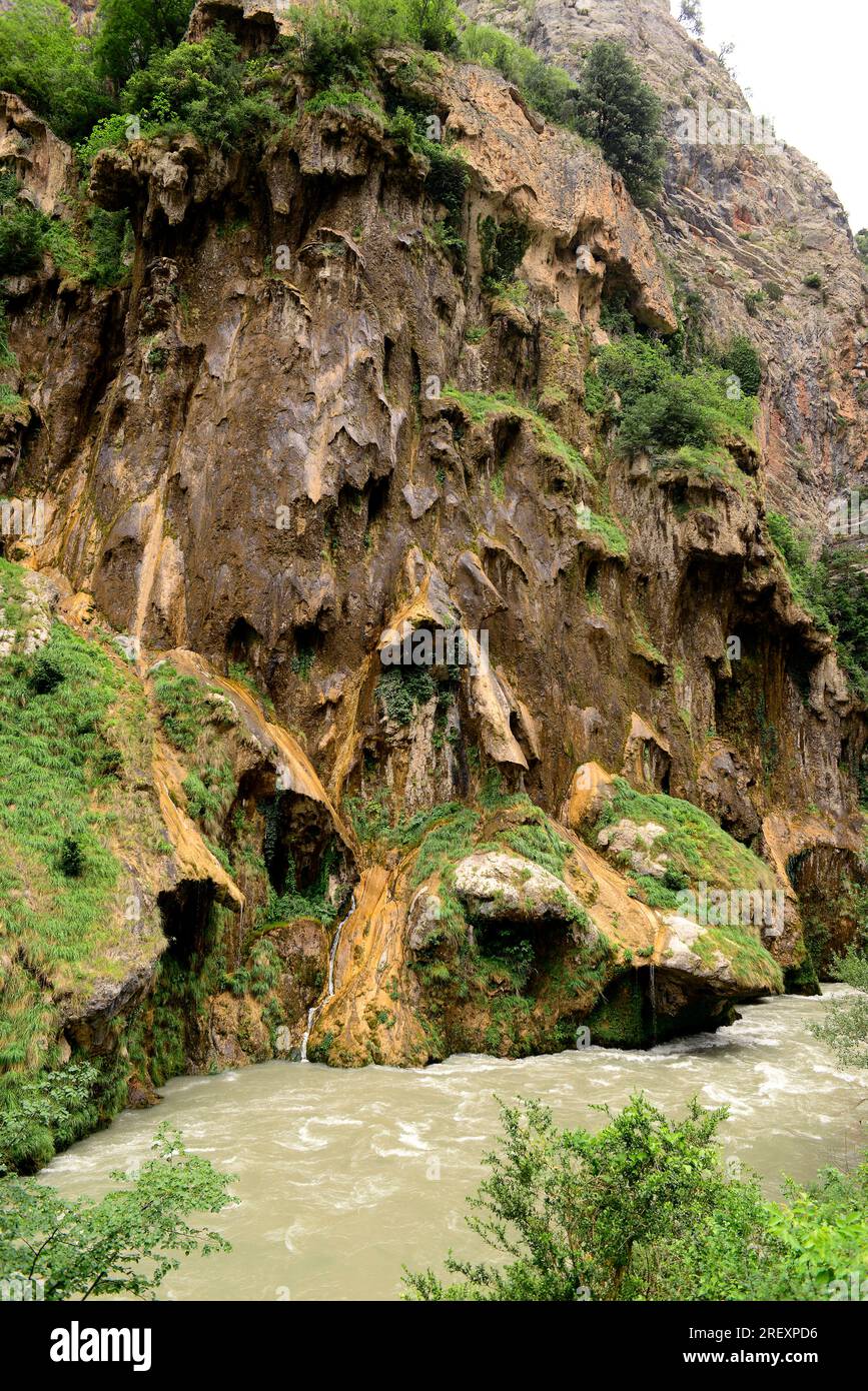 Travertine is a sedimentary rock, a type of limestone (calcium ...