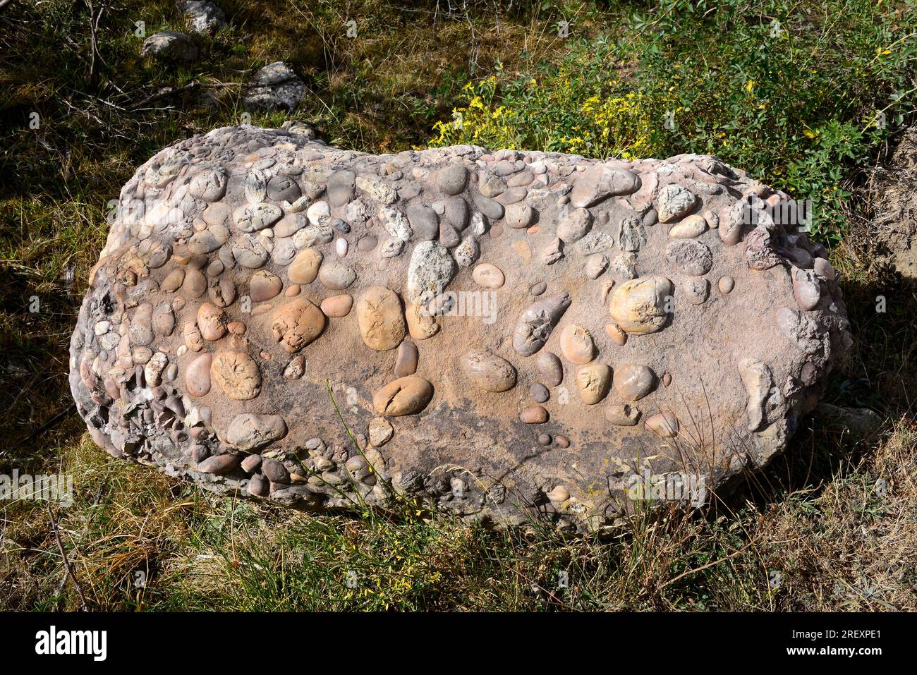 Conglomerate is a clastic sedimentary rock composed of rounded clasts ...