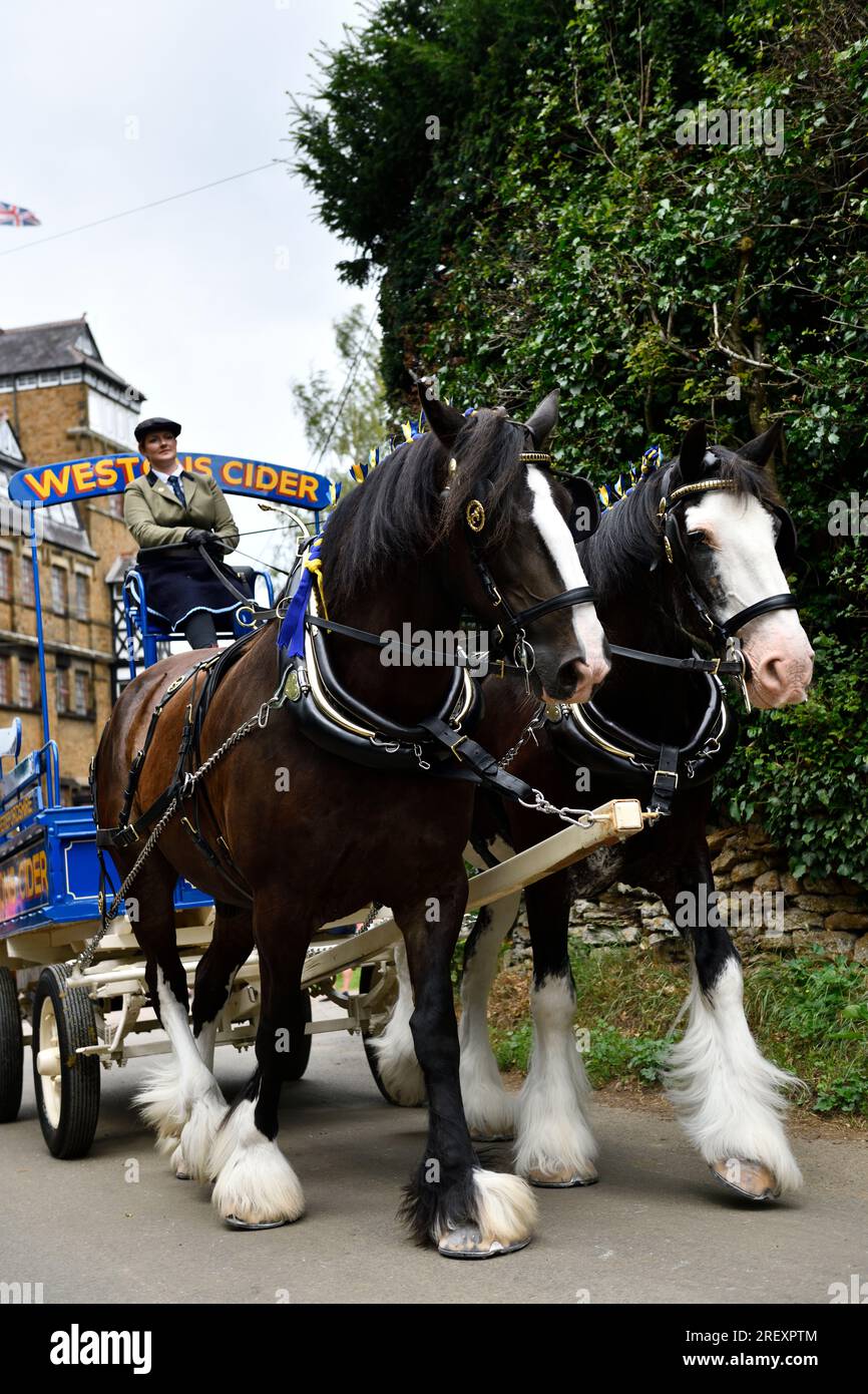Hook Norton Brewery Oxfordshire UK. 30th July 2023. Leaving the Brewery ...