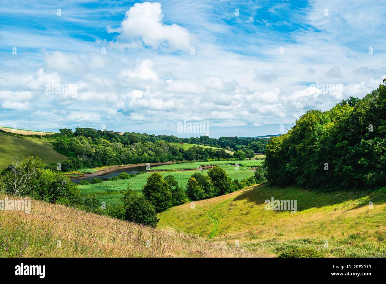 Sharpham marsh hi-res stock photography and images - Alamy