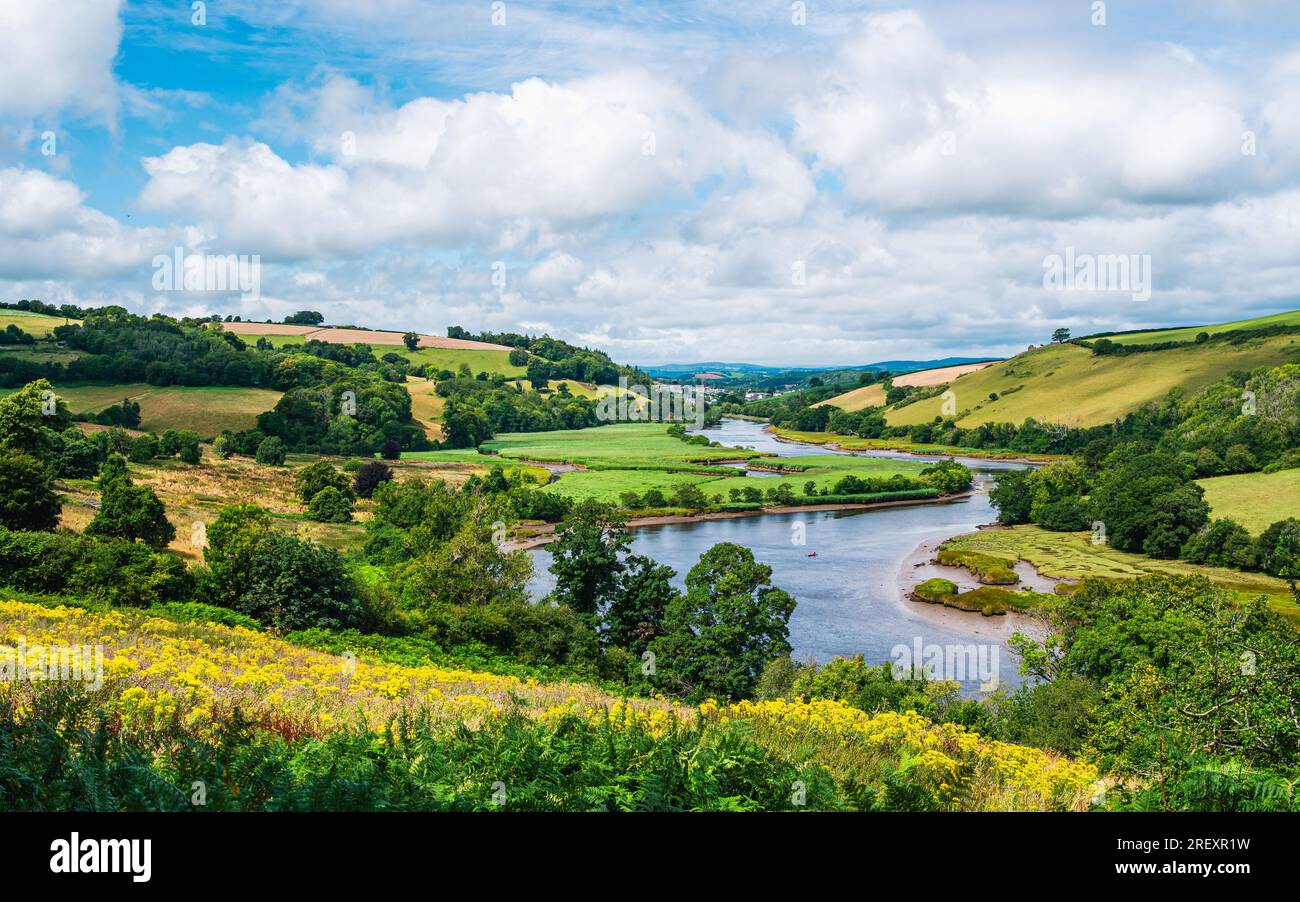 Sharpham marsh hi-res stock photography and images - Alamy