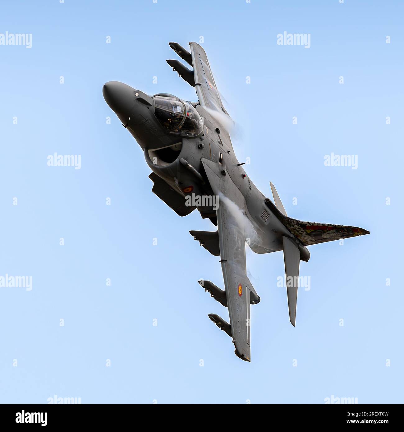 McDonnell Douglas EAV-8B+ Matador II Harrier, Escuadrilla 009 Spanish ...