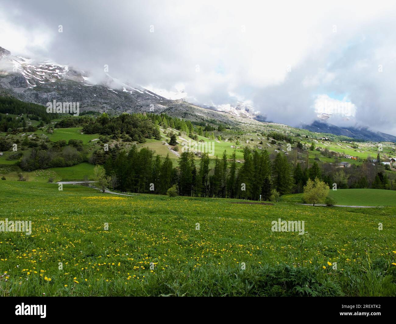 Rural landscape with fields and trees in front of Dévoluy massif in ...