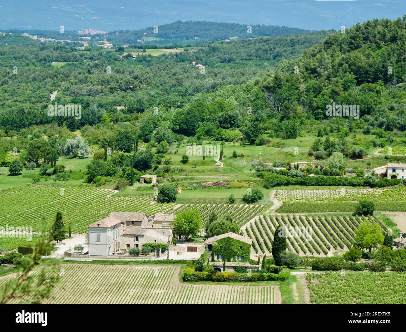 Agricultural landscape in France with vineyards and a farm Stock Photo ...