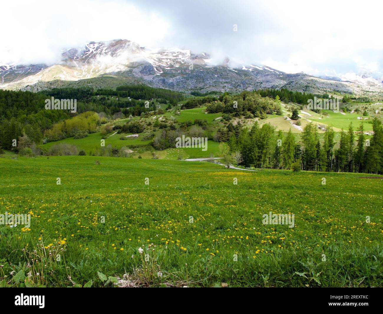 Rural landscape with fields and trees in front of Dévoluy massif in ...