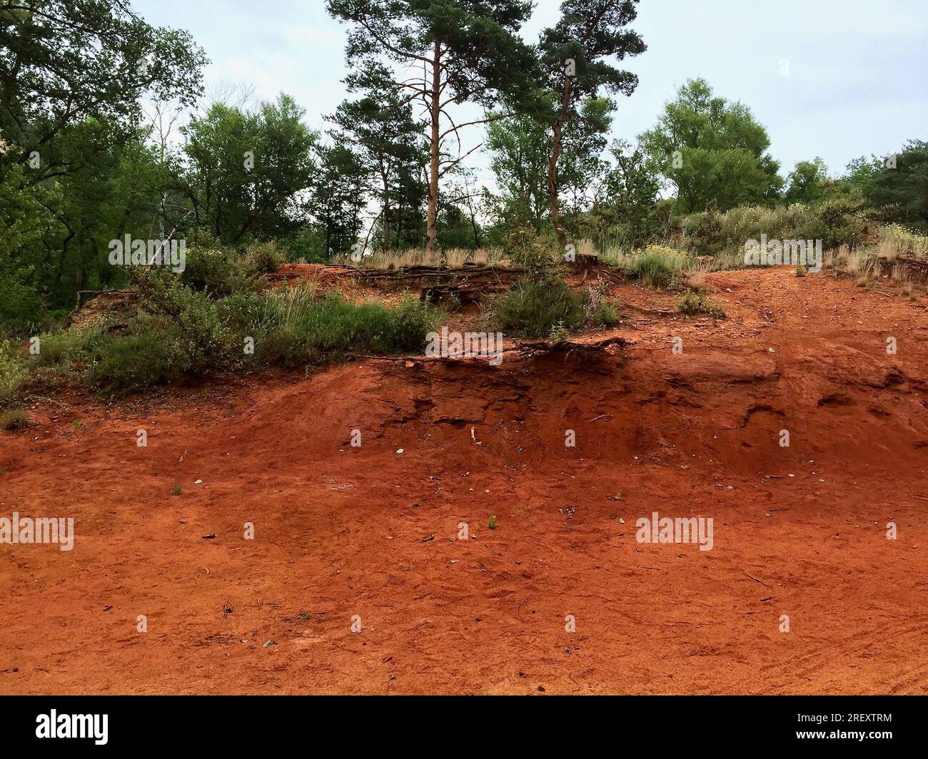 Nature reserve called Colorado Provencal in France with trees and ...