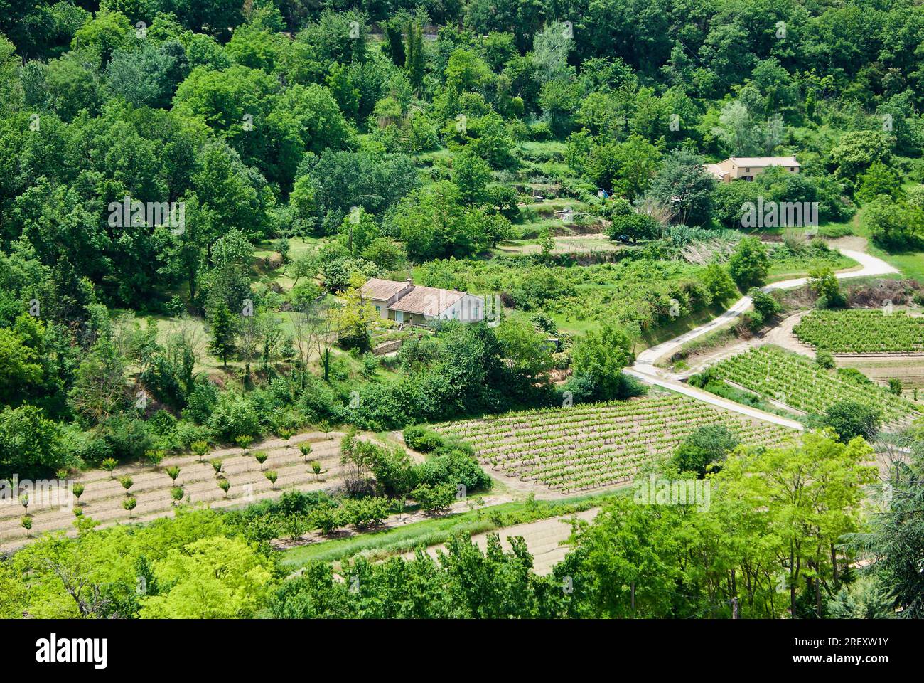 Agricultural landscape in France with vineyards and green vegetation ...