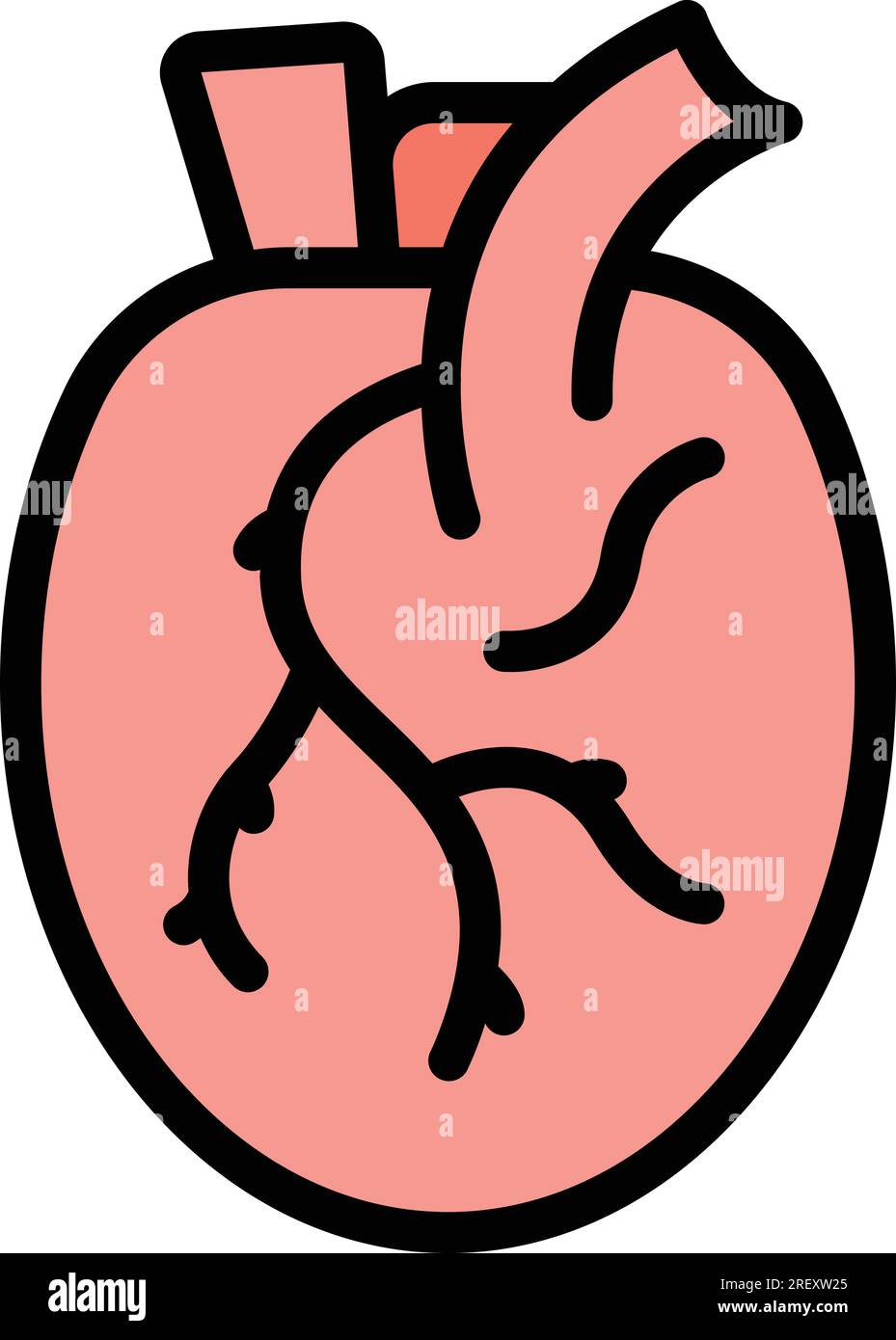 Human heart icon outline vector. Medical organ. Anatomy body color flat ...