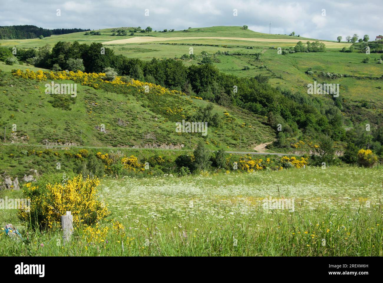 Rural landscape with a road and summer vegetation in France Stock Photo ...