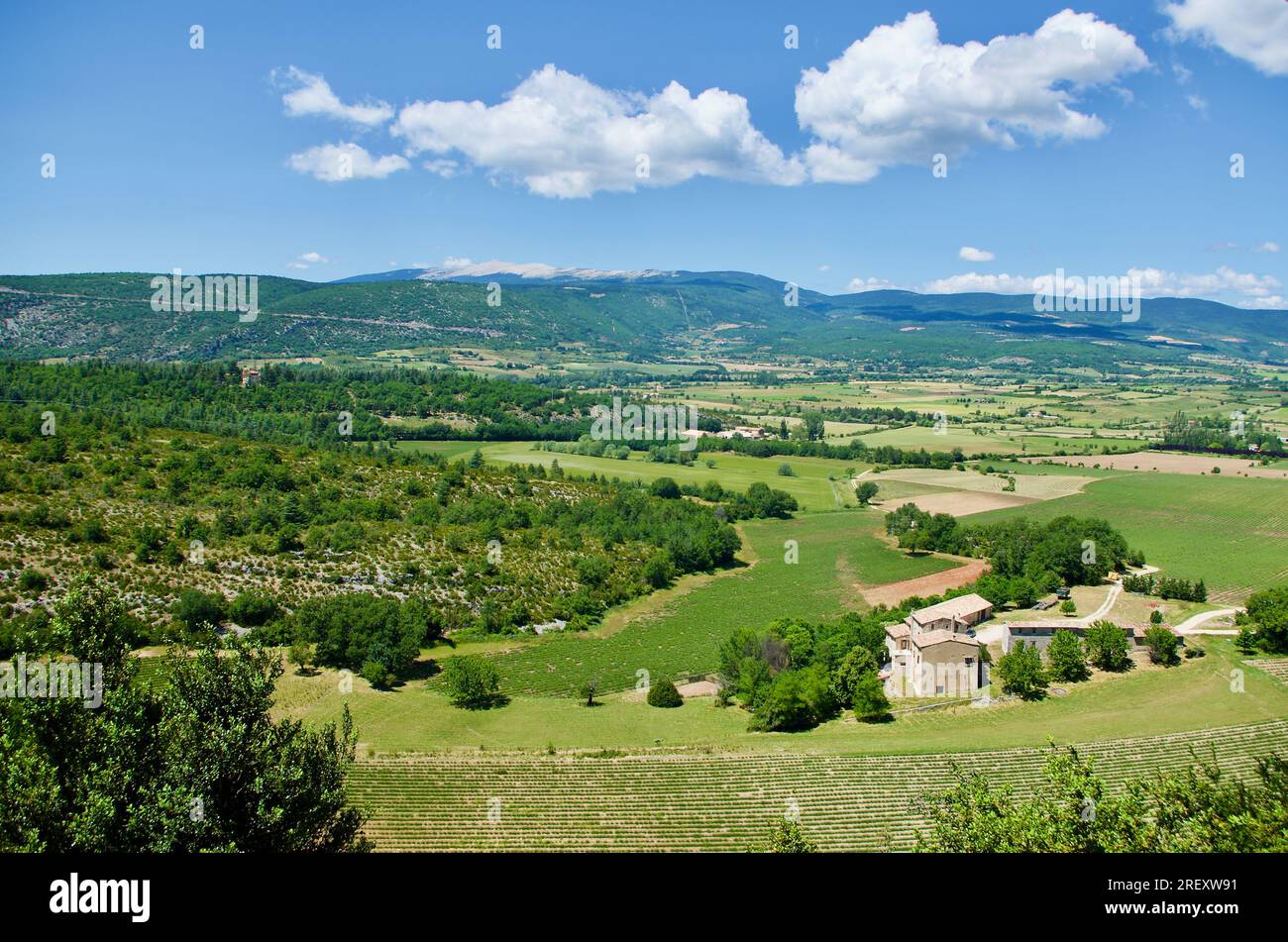 Agricultural landscape in front of Mont Ventoux in Provence in France ...