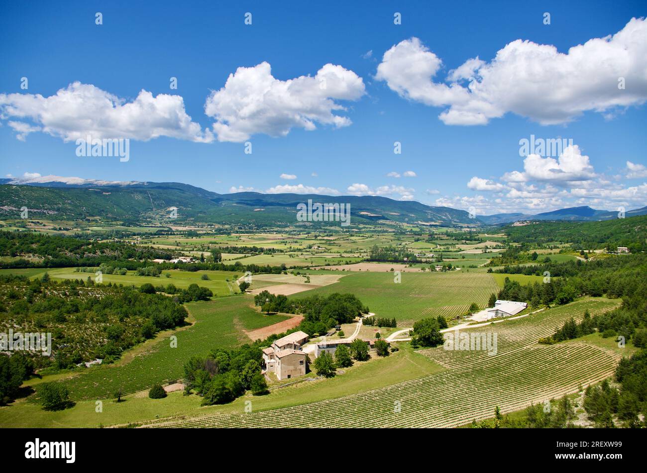 Agricultural landscape in front of Mont Ventoux in Provence in France ...