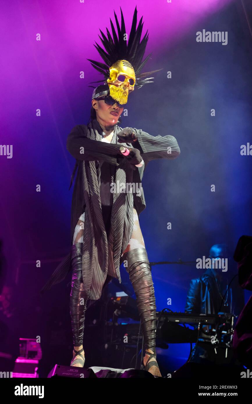 Jamaican Singer Actress And Model Grace Jones And Her