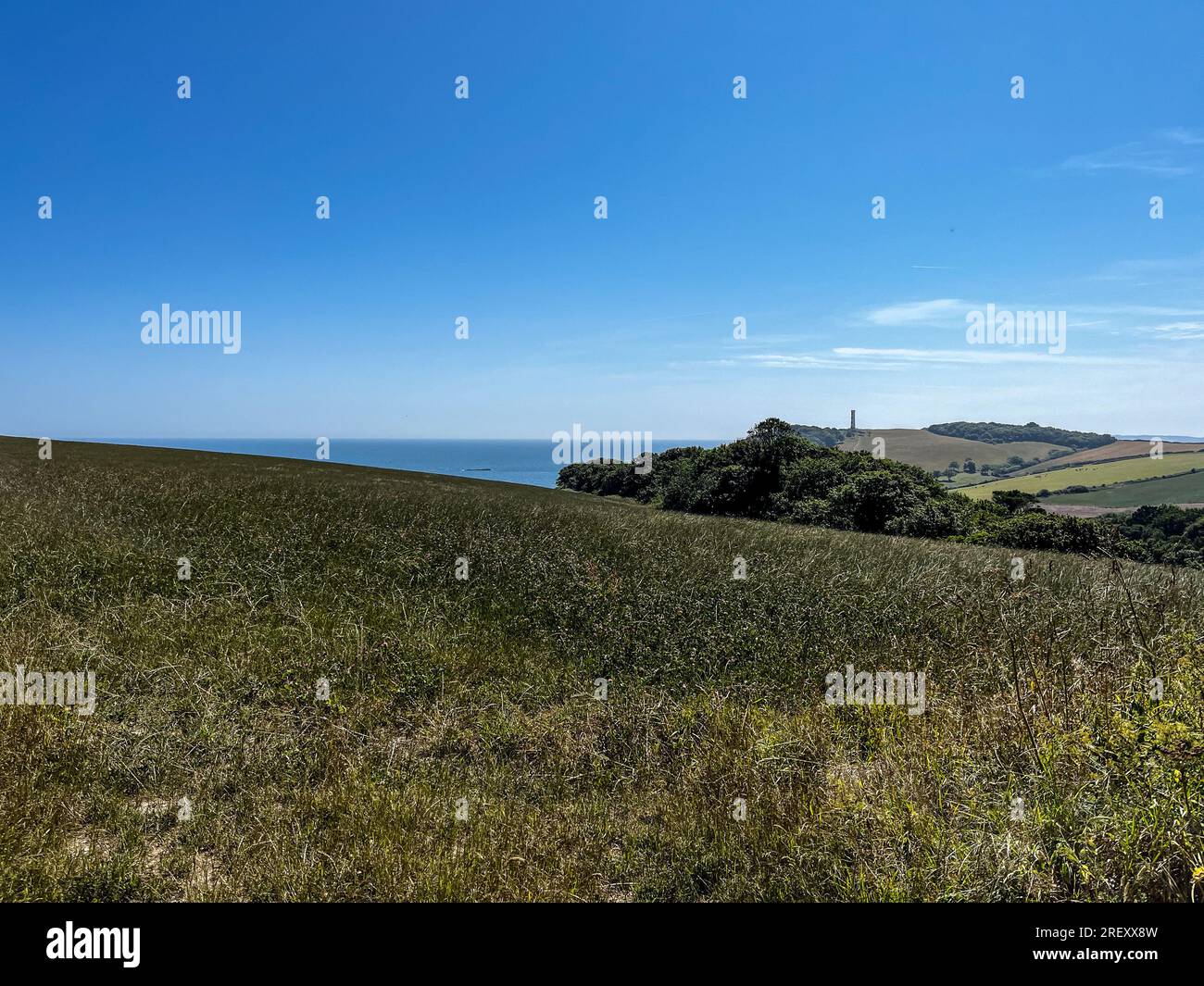 Gribben Head 190723 Stock Photo - Alamy