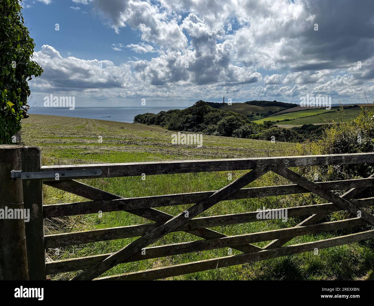 Gribben Head 190723 Stock Photo - Alamy