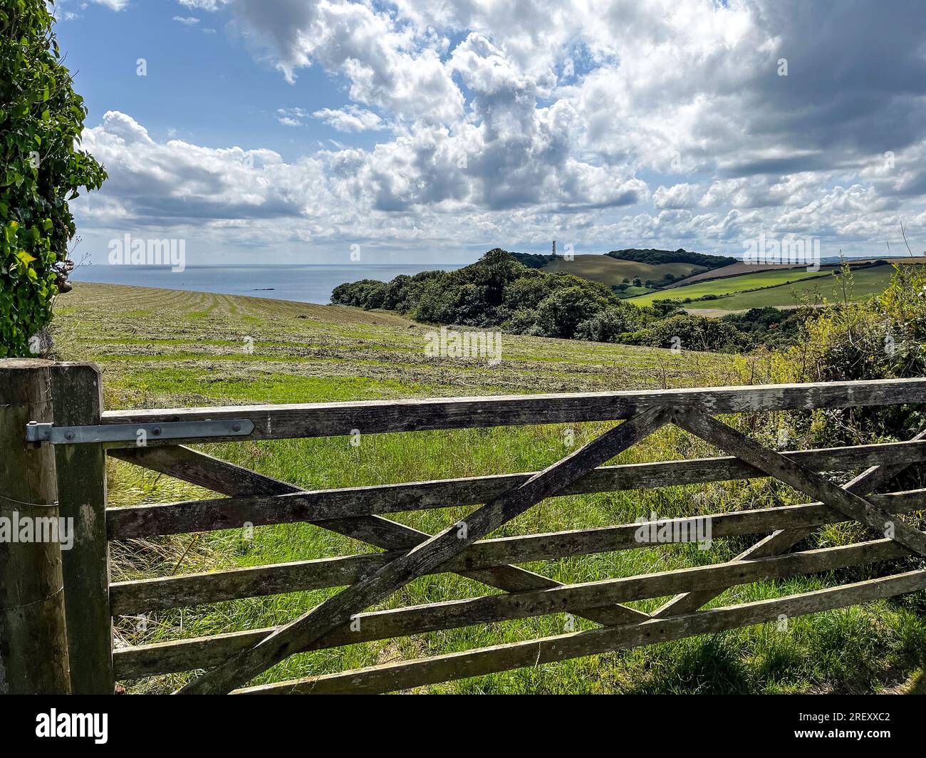 Gribben head hi-res stock photography and images - Alamy