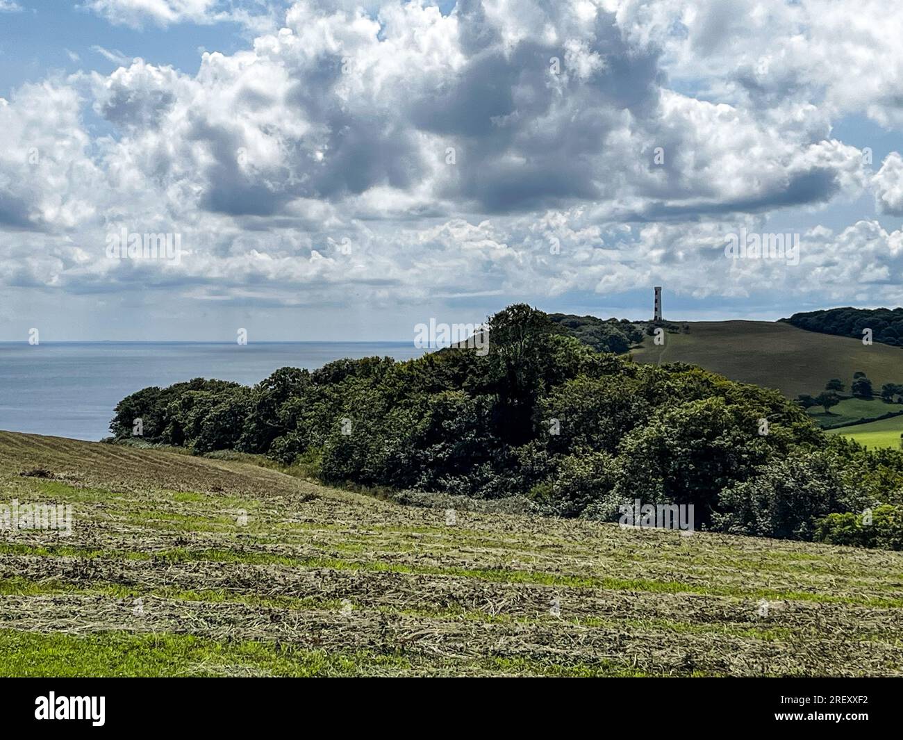 Gribben head hi-res stock photography and images - Alamy
