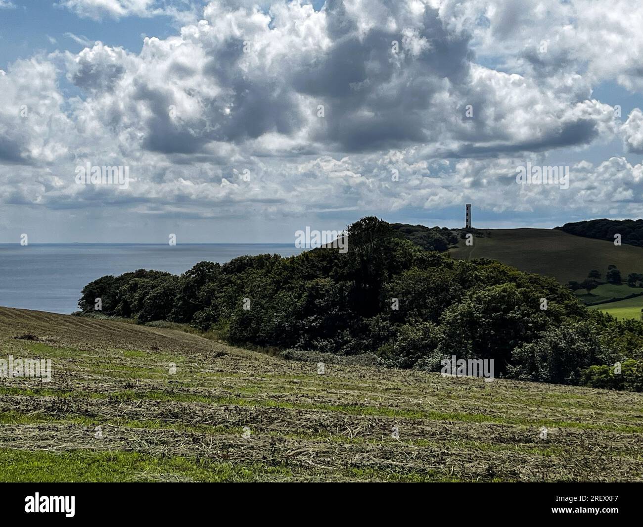 Gribben head hi-res stock photography and images - Alamy
