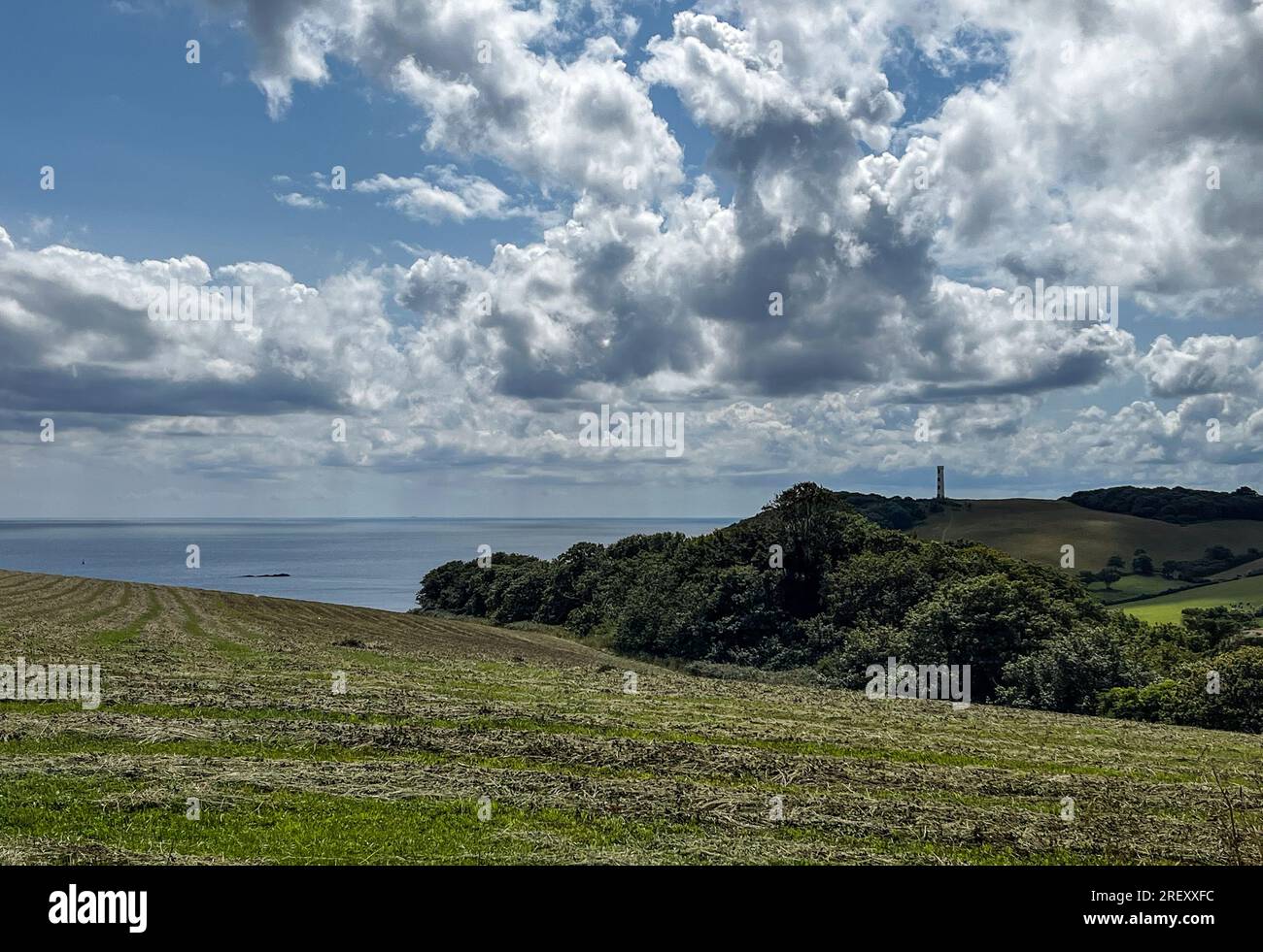 Gribben head hi-res stock photography and images - Alamy