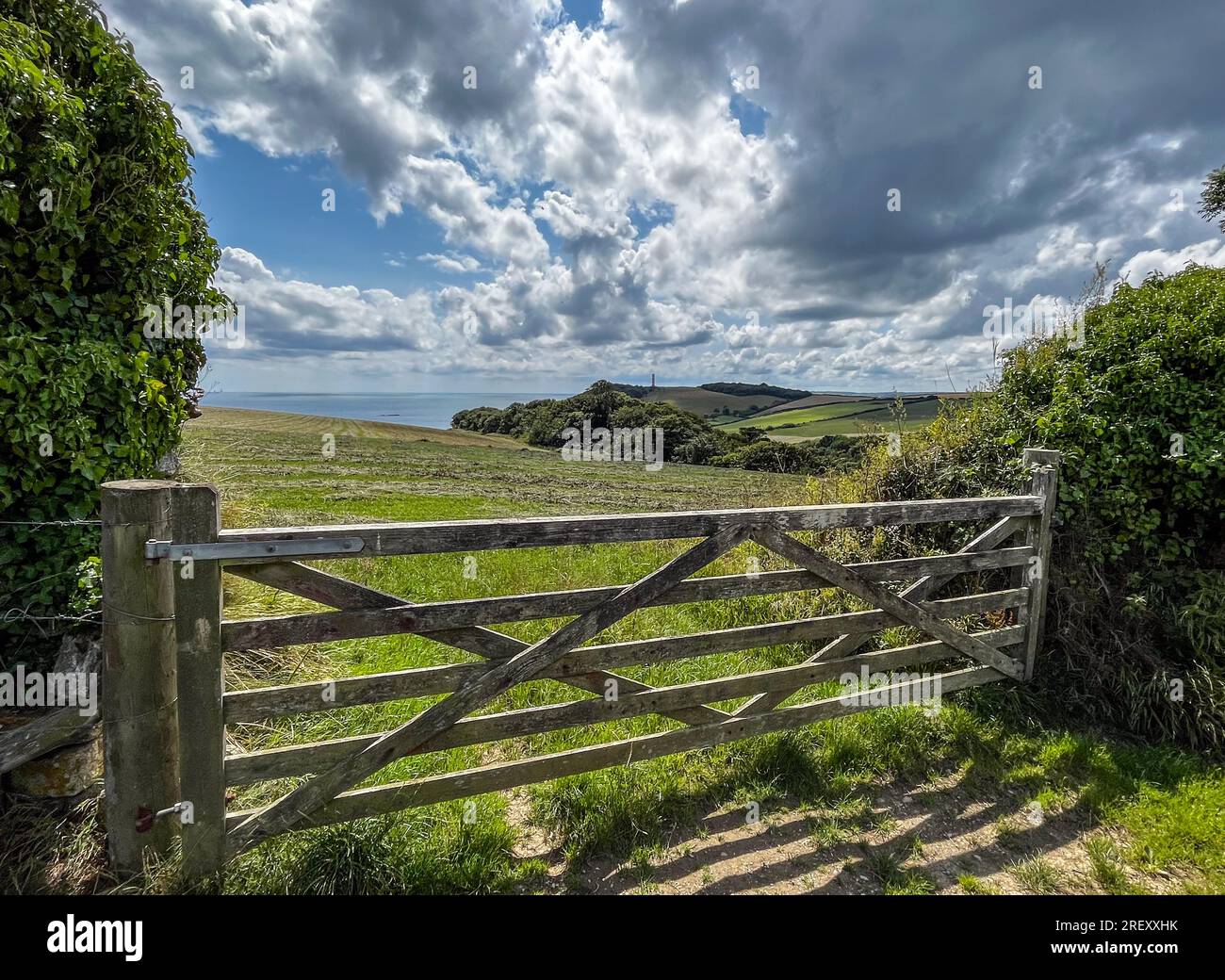 Gribben head hi-res stock photography and images - Alamy