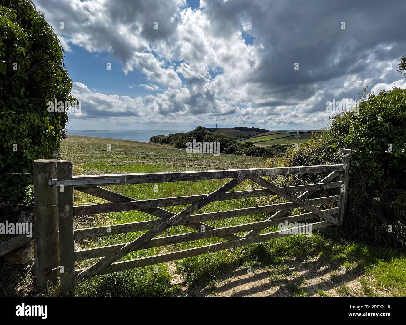 Gribben head hi-res stock photography and images - Alamy