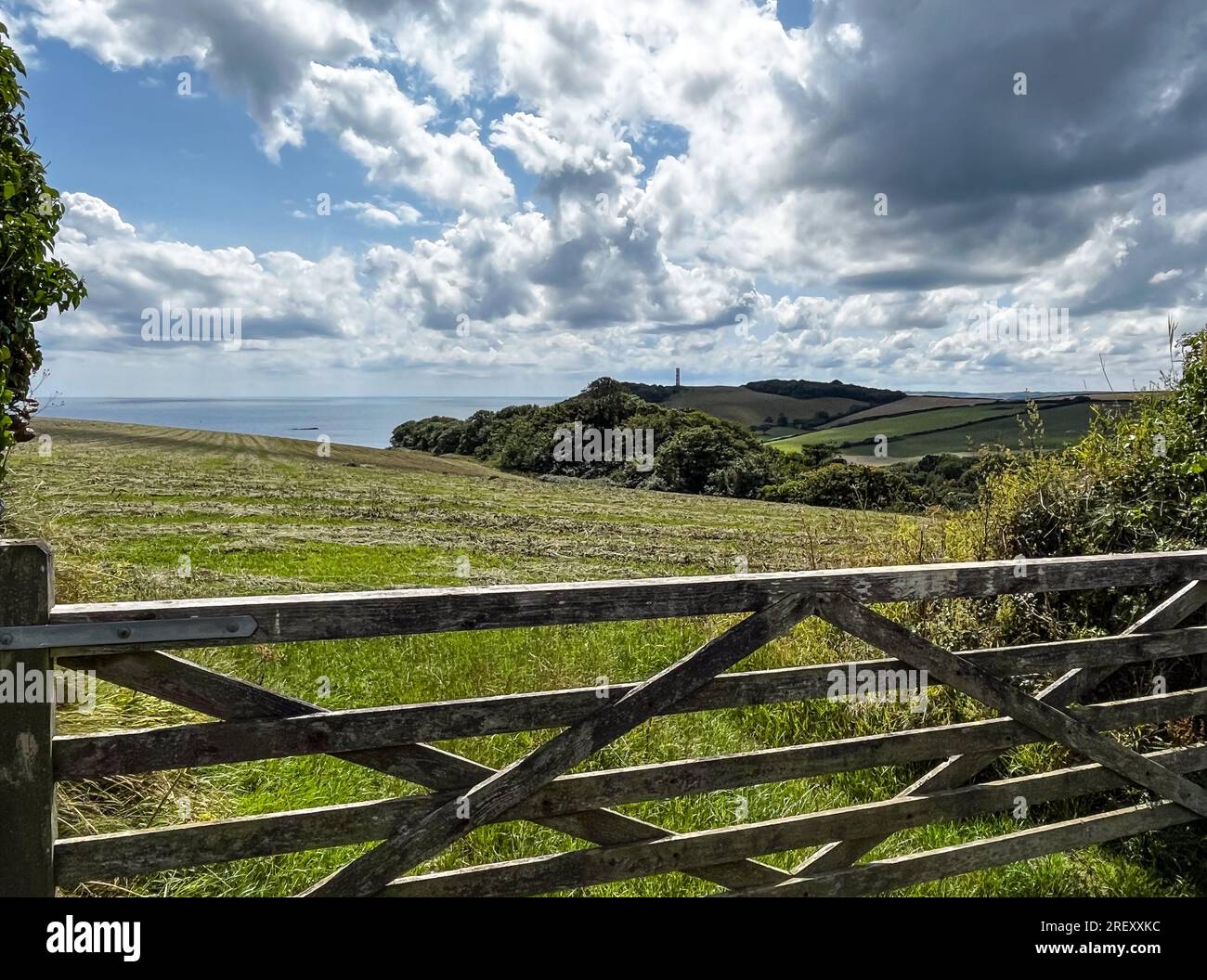 Gribben head hi-res stock photography and images - Alamy
