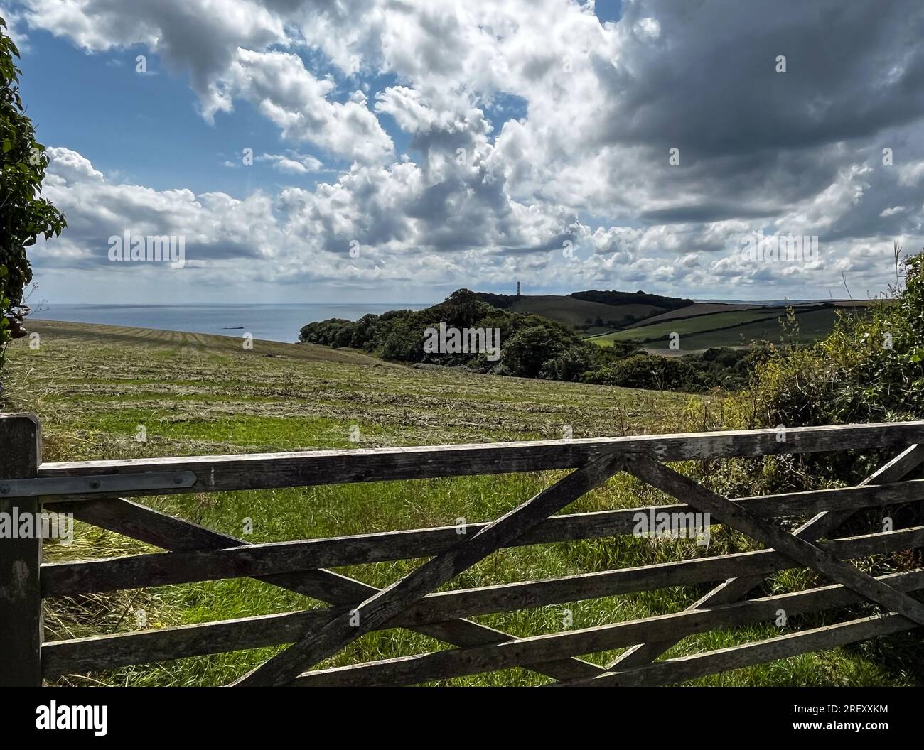 Gribben head hi-res stock photography and images - Alamy