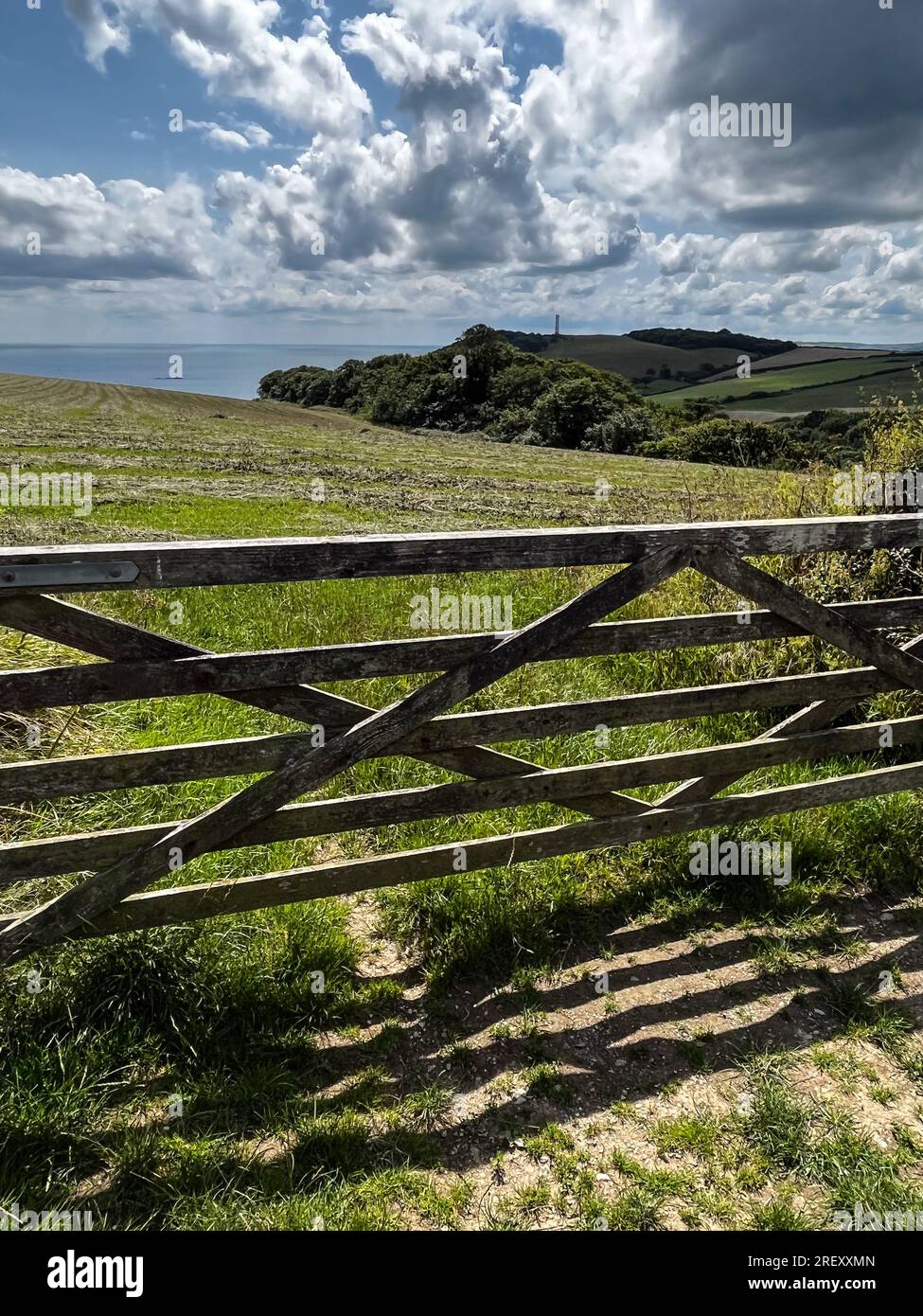 Gribben head hi-res stock photography and images - Alamy