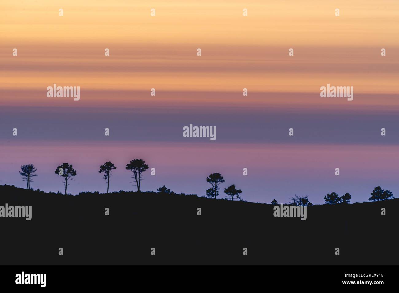 Silhouette from the treeline , at sunset in Albergaria da Serra ...