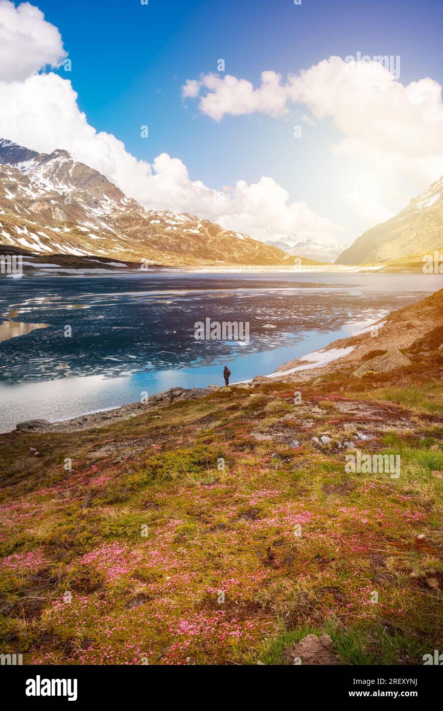 Frozen lake in Switzerland in spring with flowers, swiss alps landscape ...